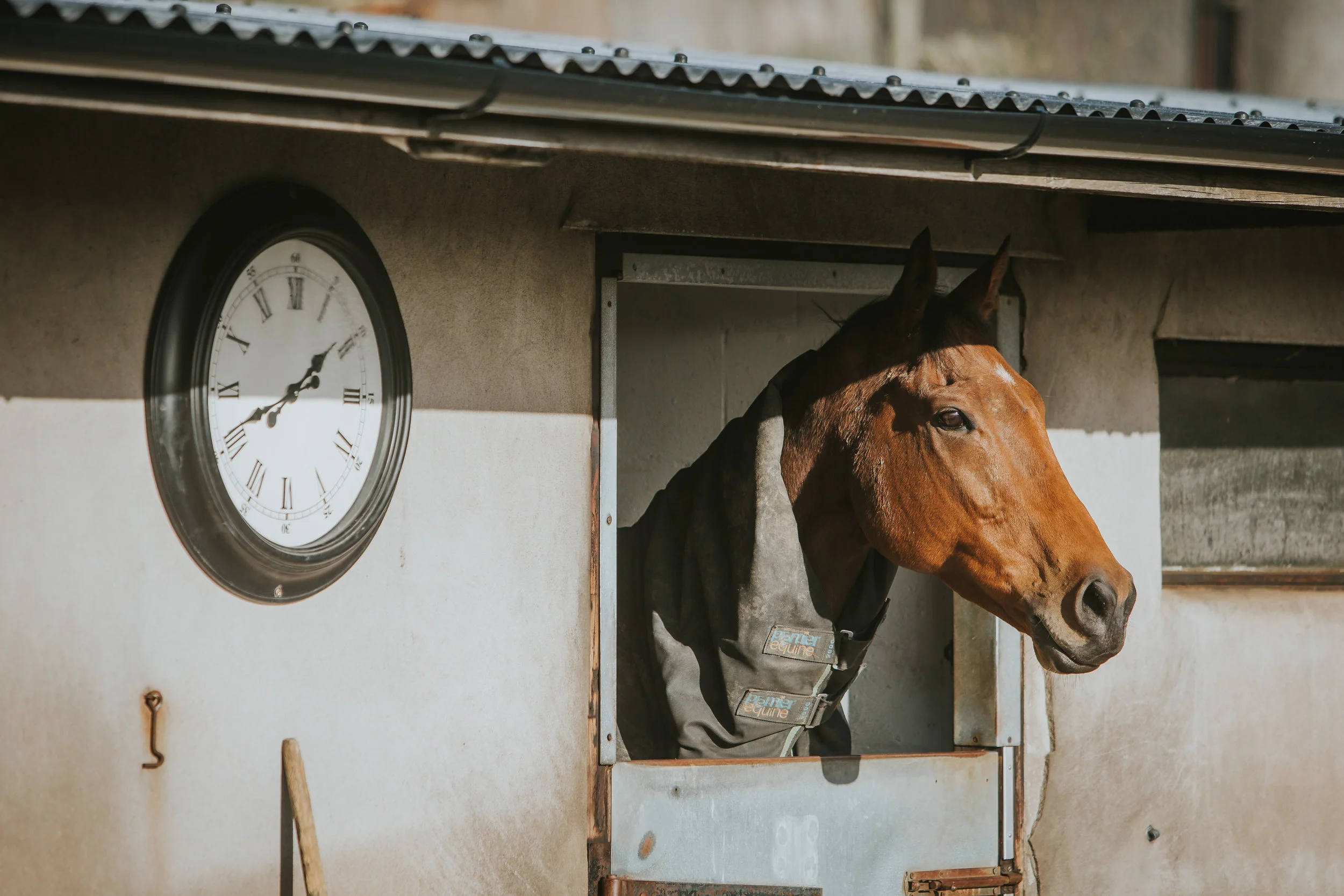 Larkrigg Riding School