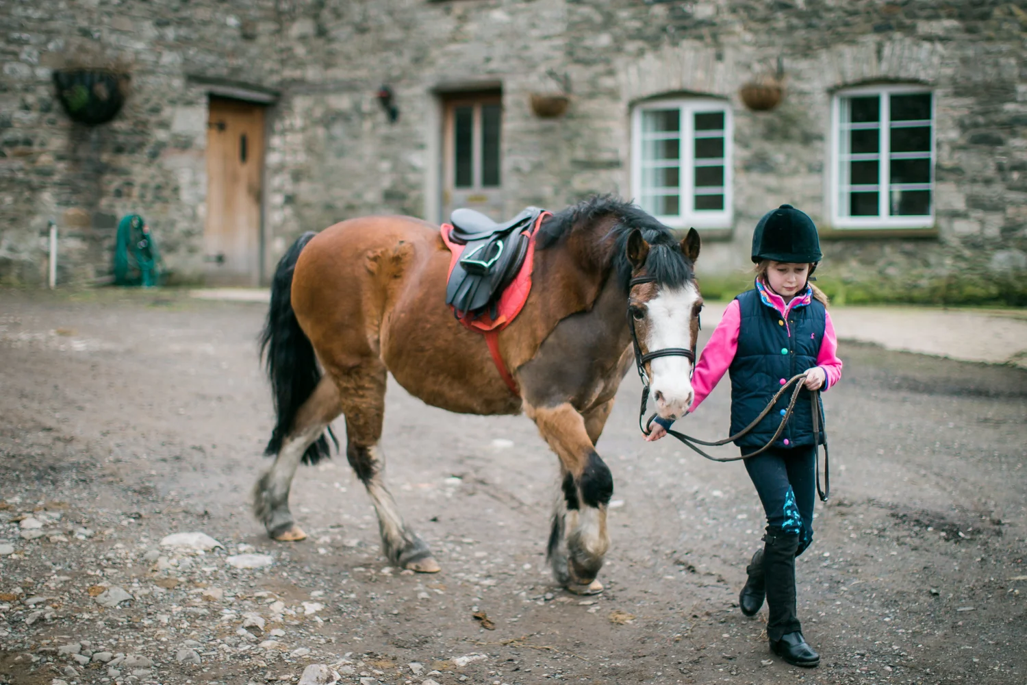 Learning to Ride — Larkrigg Riding School