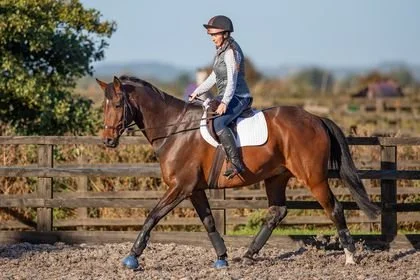 LiveryFamily — Larkrigg Riding School