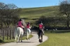 Larkrigg Riding School