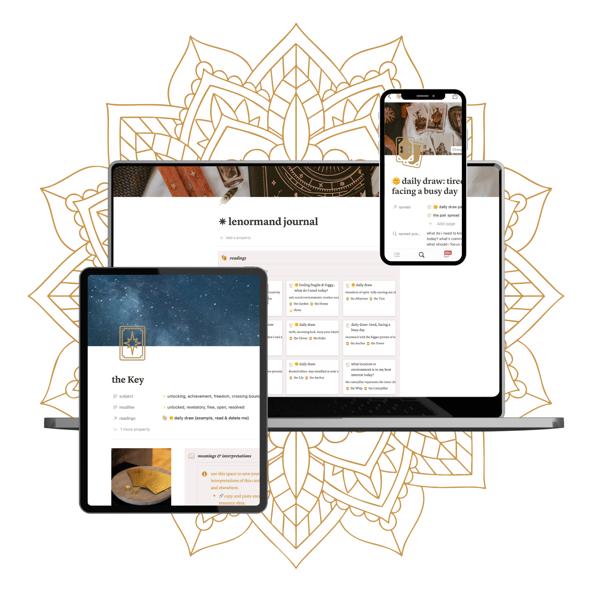 the shop — Rachael Stephen