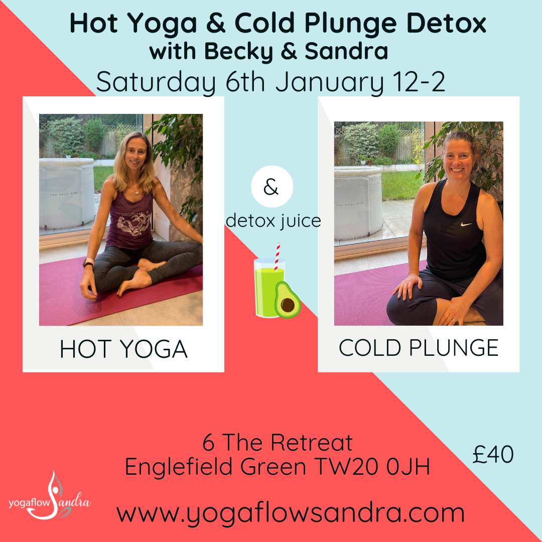 Yoga Flow Sandra -Yoga CPD