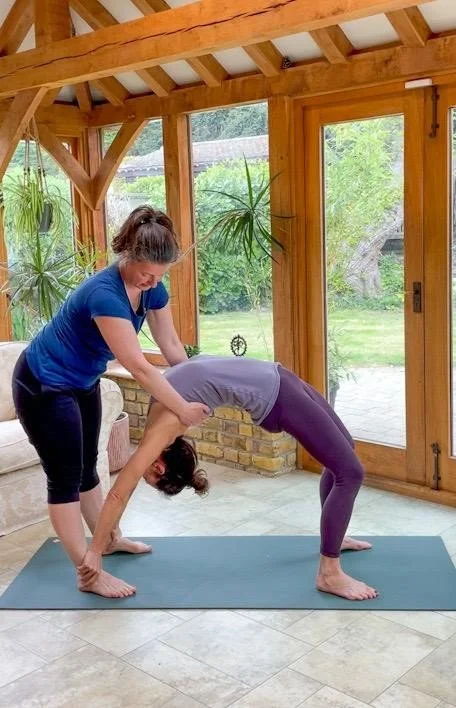 Yoga Flow Sandra -Yoga CPD