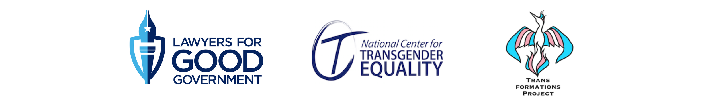 Trans Health Report - 2023 — Lawyers for Good Government