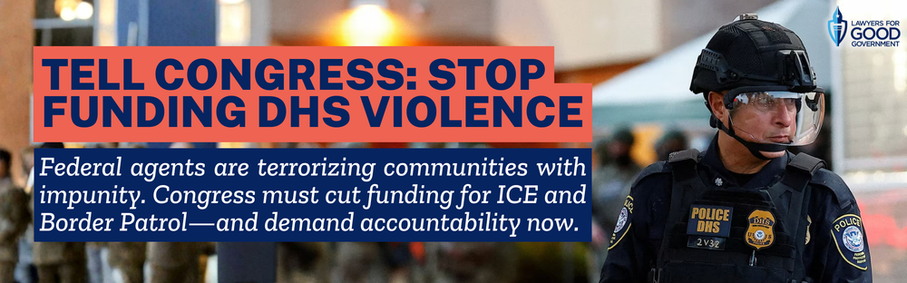 Thank You - Stop DHS Violence — Lawyers for Good Government