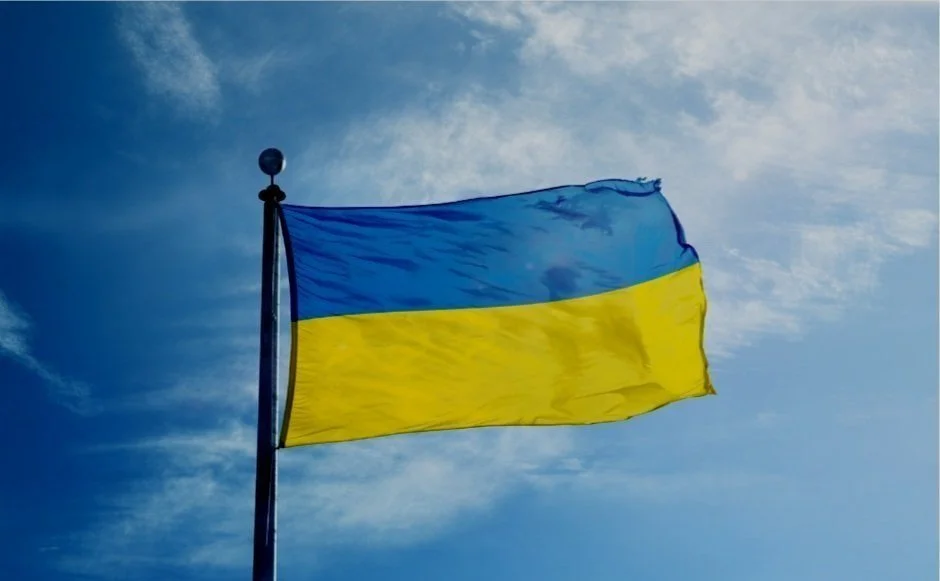 Lawyers for Good Government