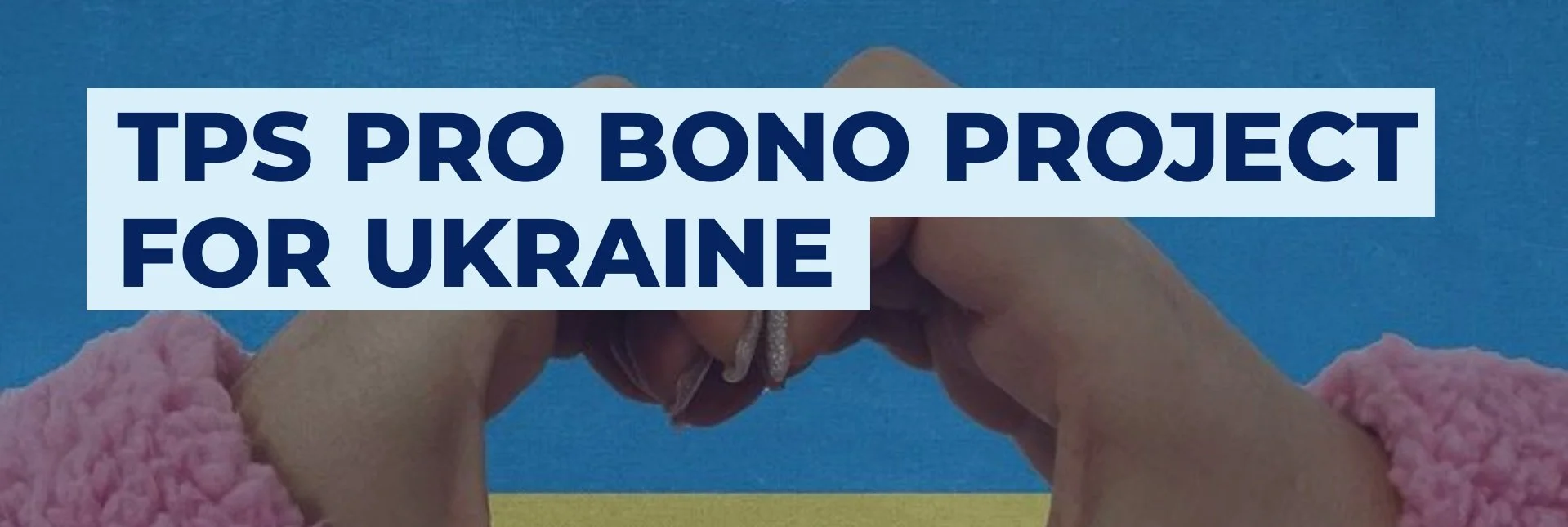 Ukraine TPS Pro Bono Project — Lawyers for Good Government