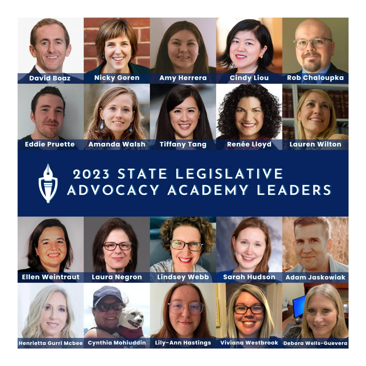 State Legislative Advocacy Academy — Lawyers for Good Government
