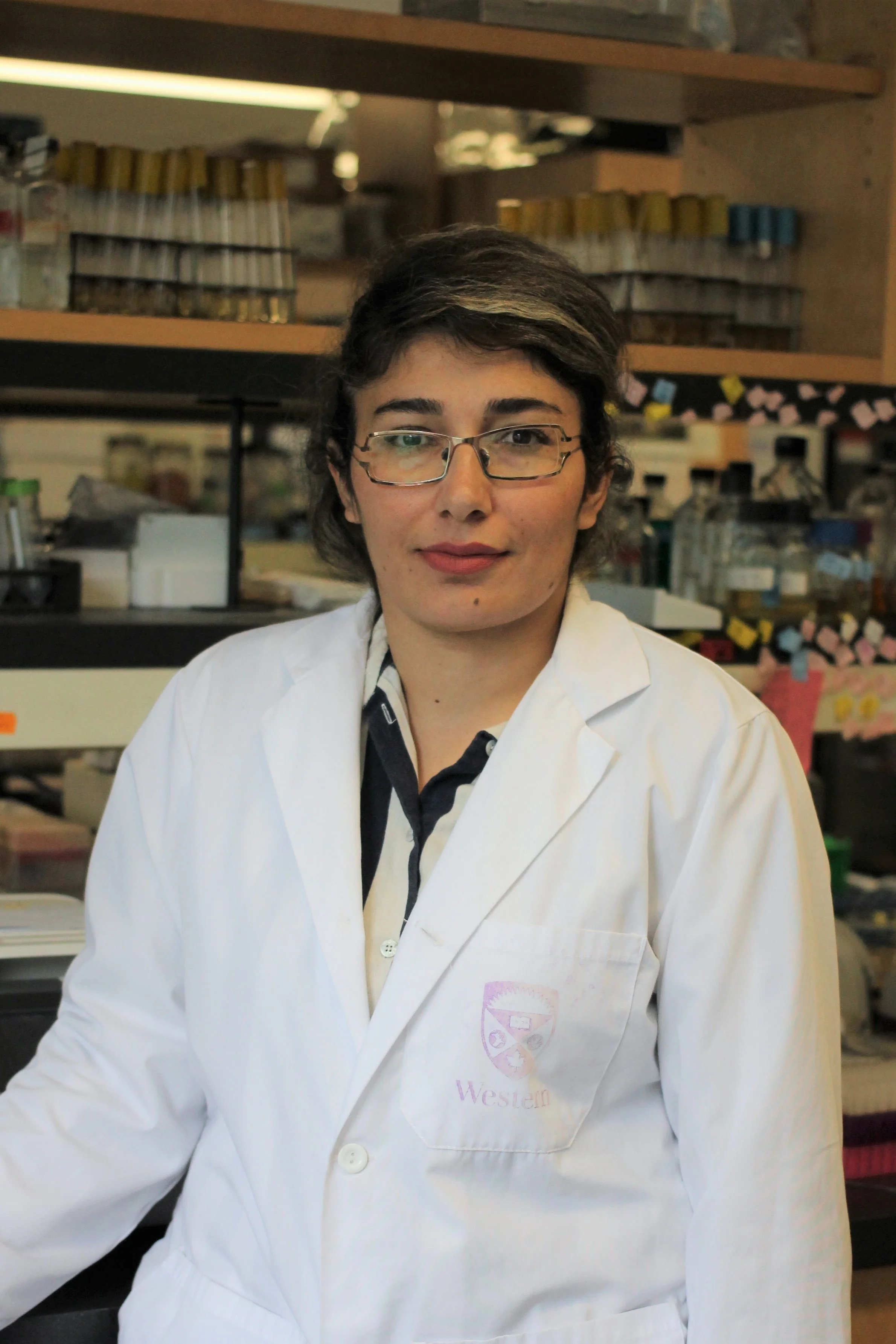 Who We Are — Heinrichs Lab - Heinrichs Lab