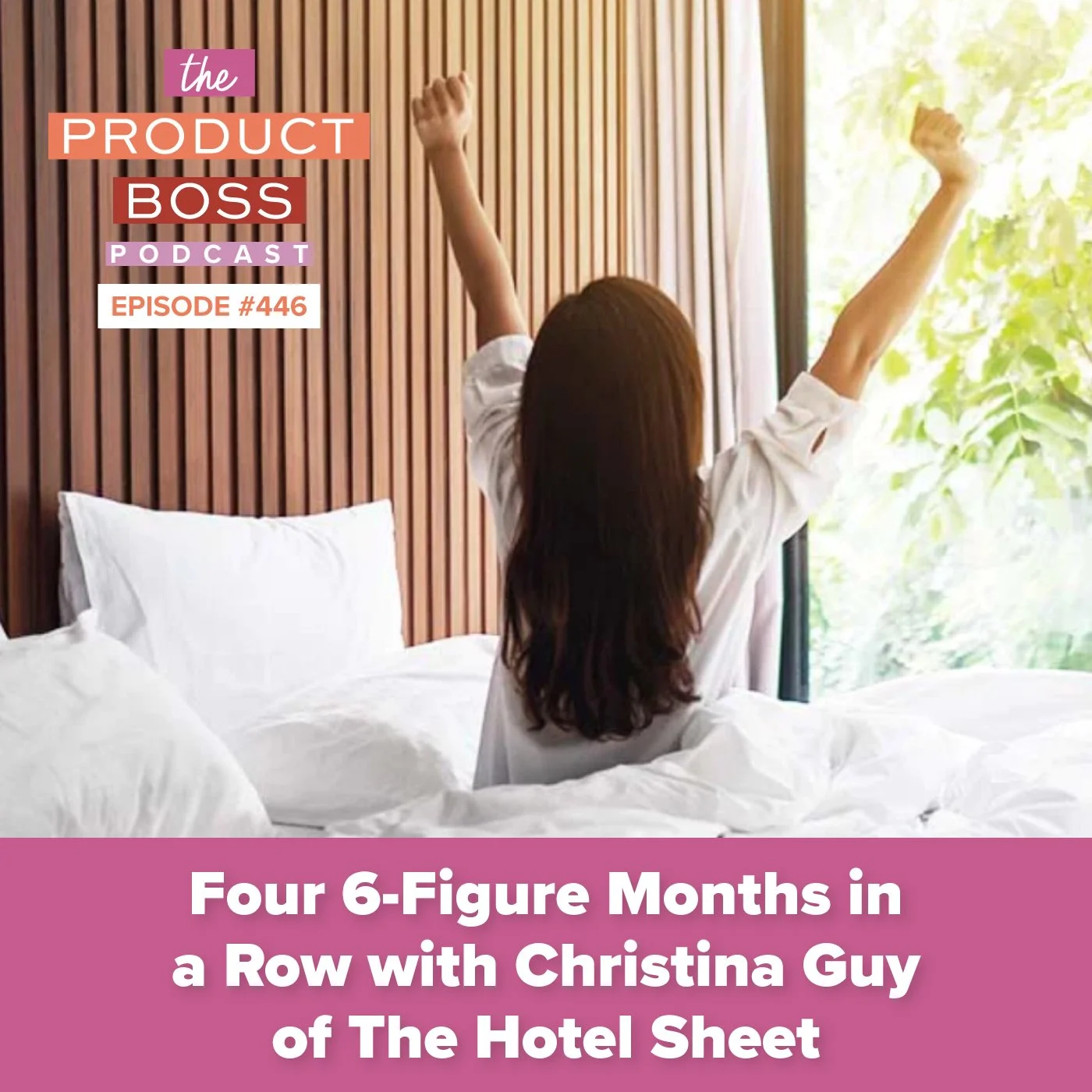 Four 6-Figure Months in a Row with Christina Guy of The Hotel Sheet ...