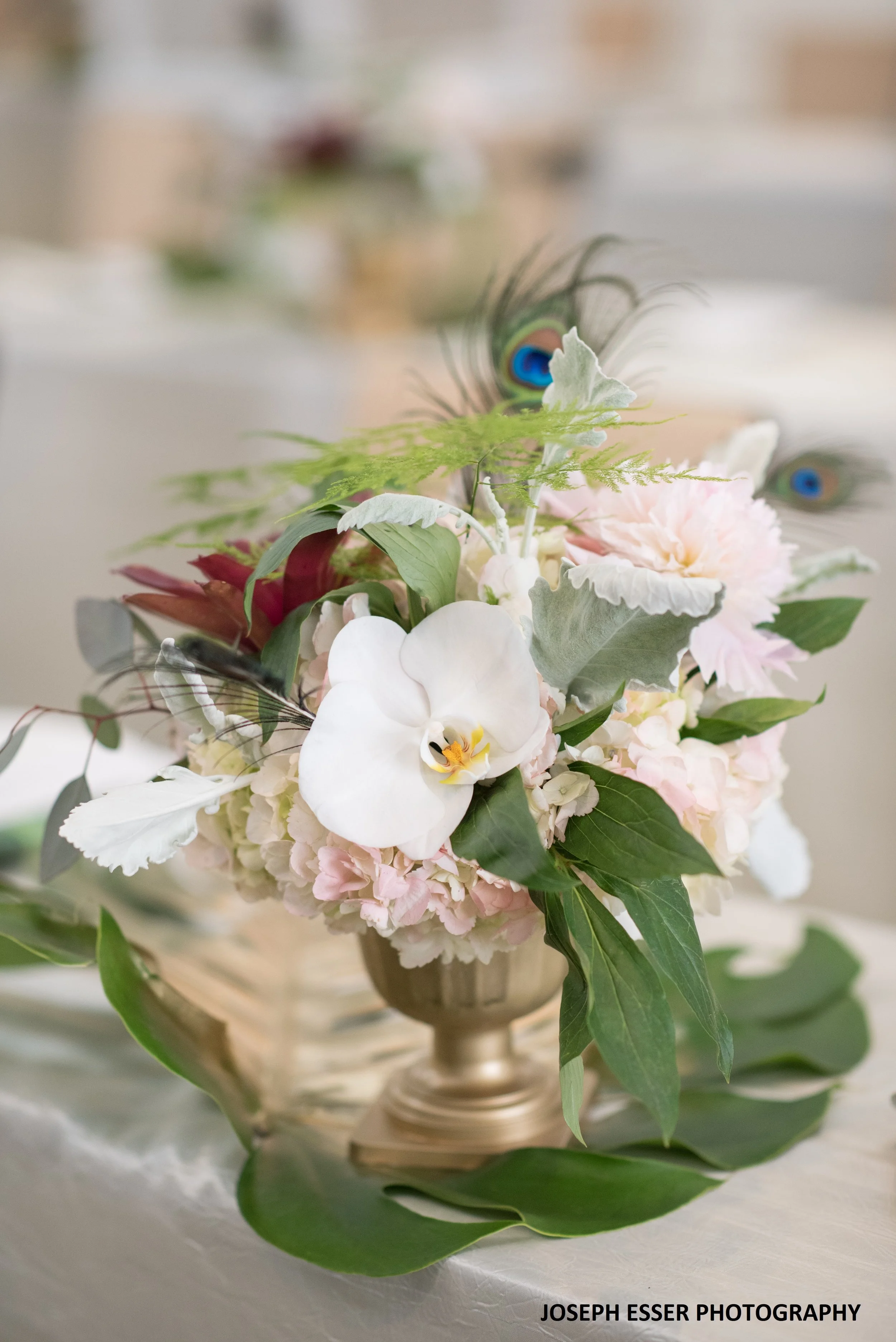 Four Seasons by Joseph Esser Photography — A Perfect Day Hawaii