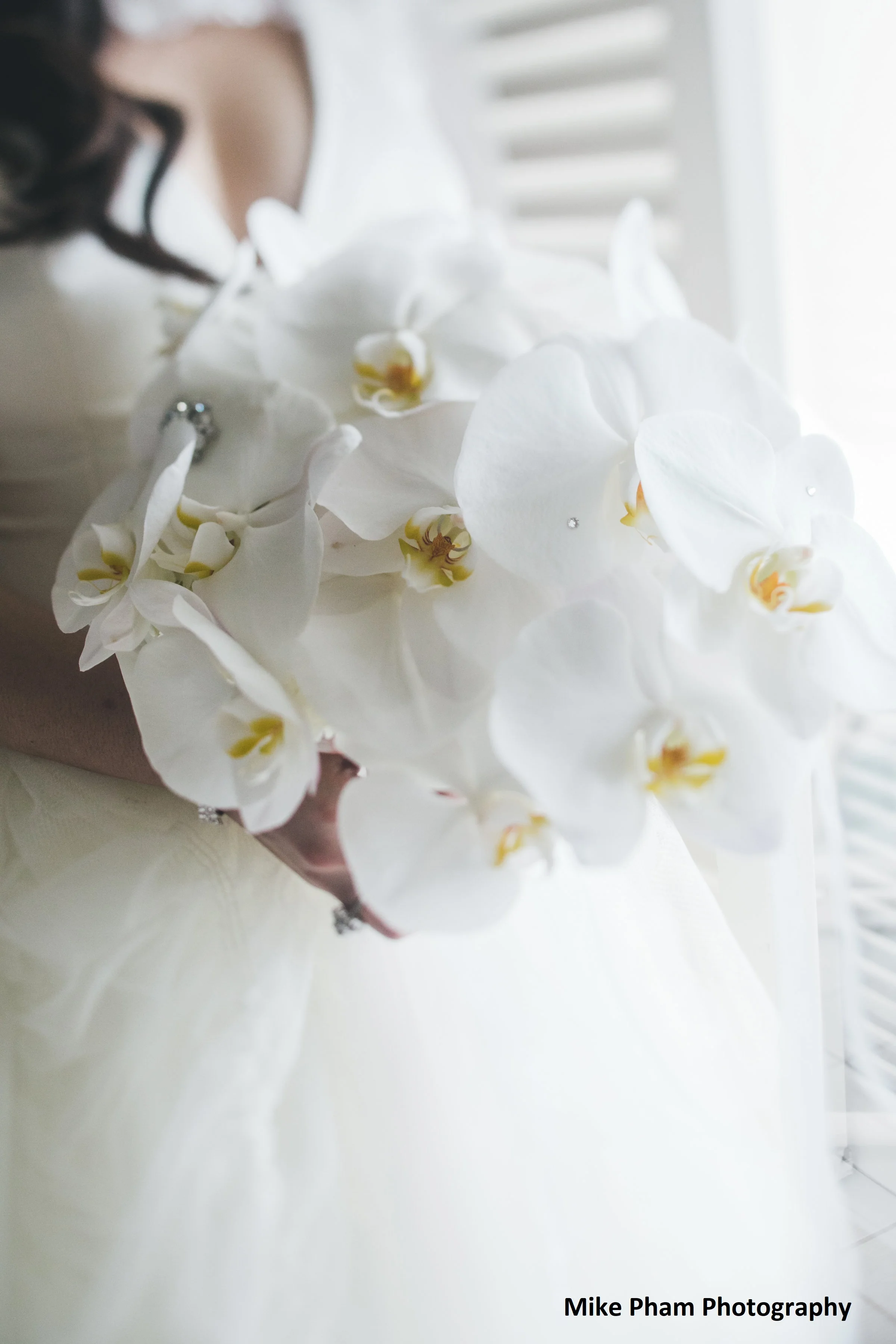 CONGRATULATIONS KRISTA & DAVID SCHOPPY - HALEKULANI HOTEL — A Perfect ...