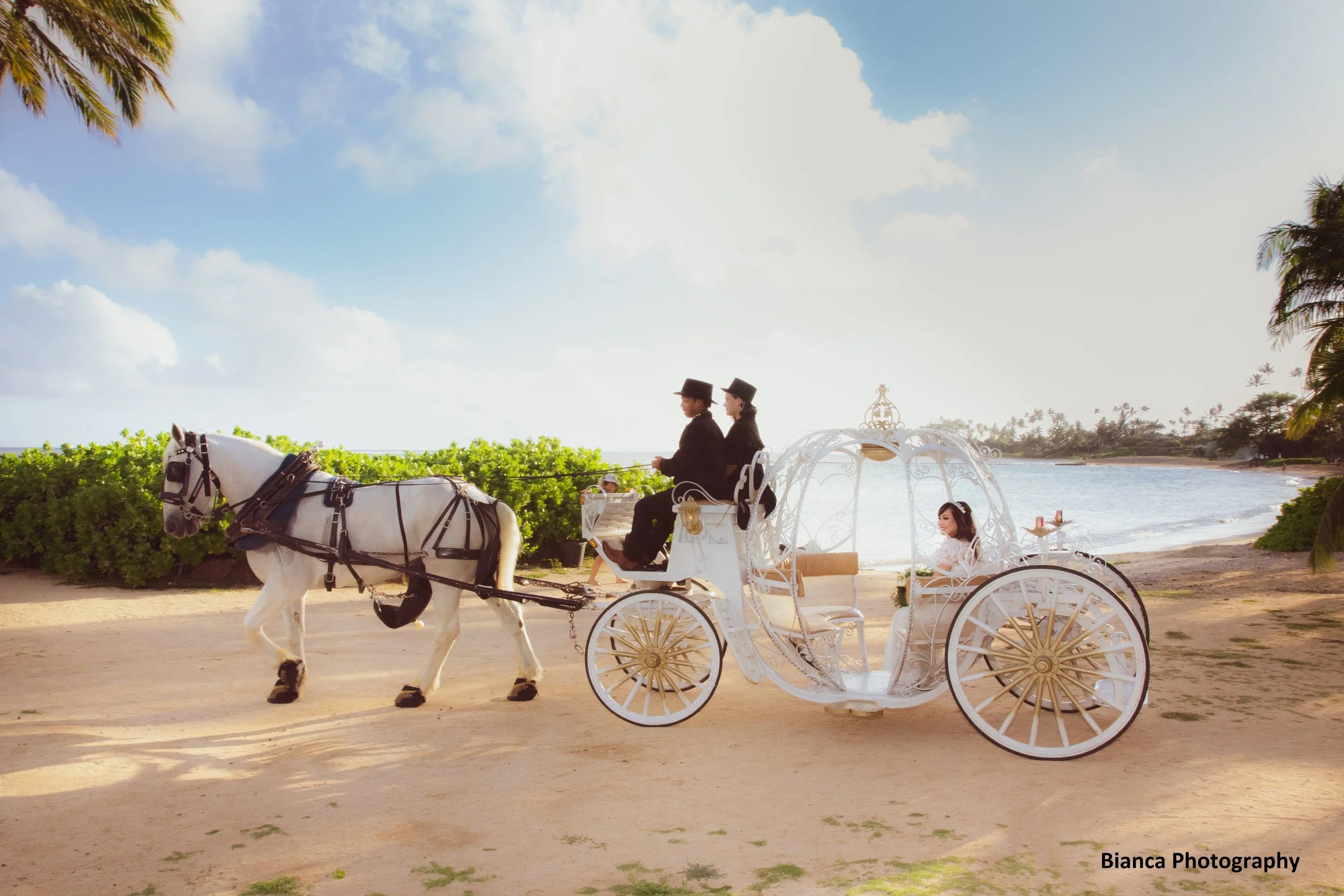 GALLERY: Bianca Photography — A Perfect Day Hawaii