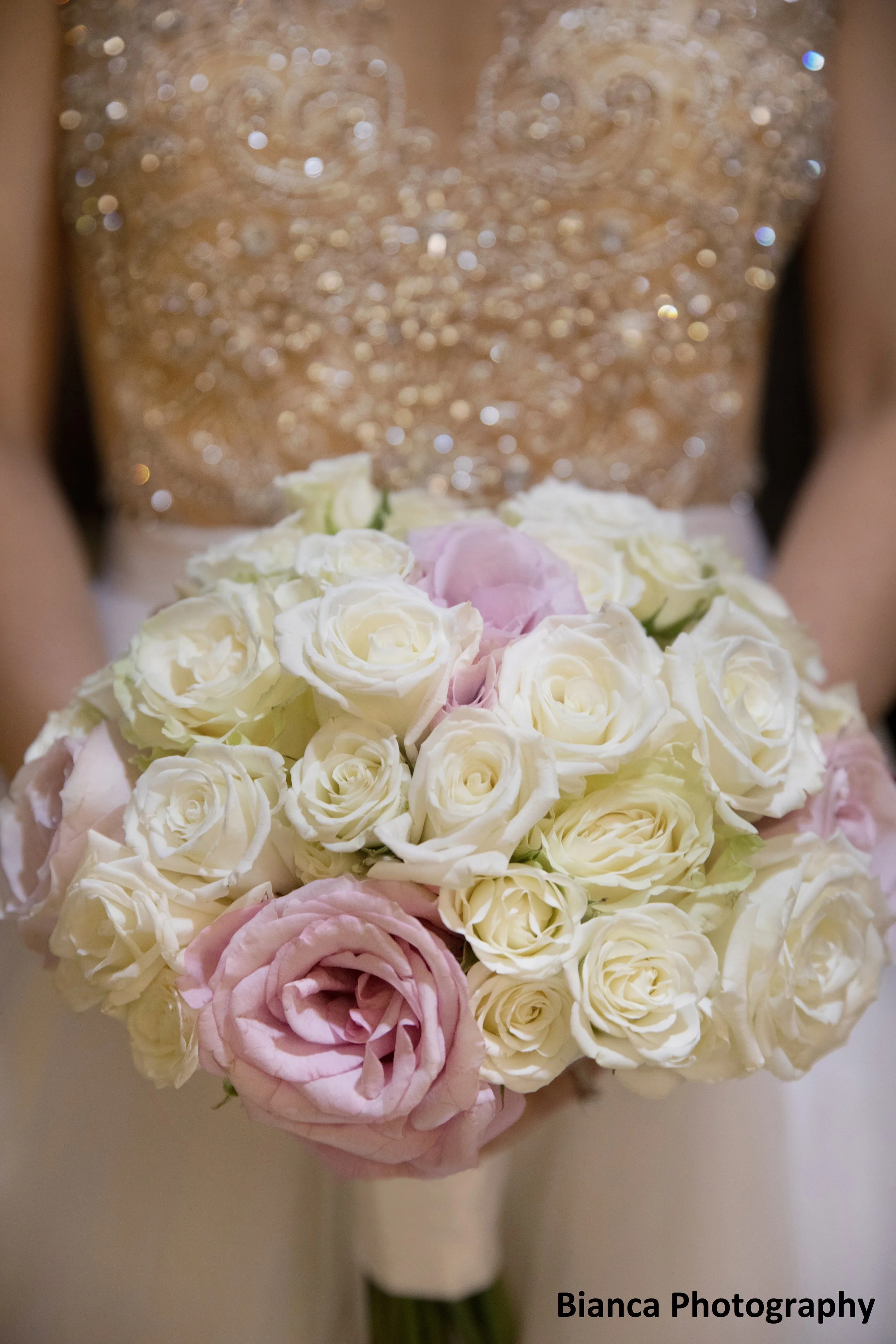 GALLERY: Bianca Photography — A Perfect Day Hawaii