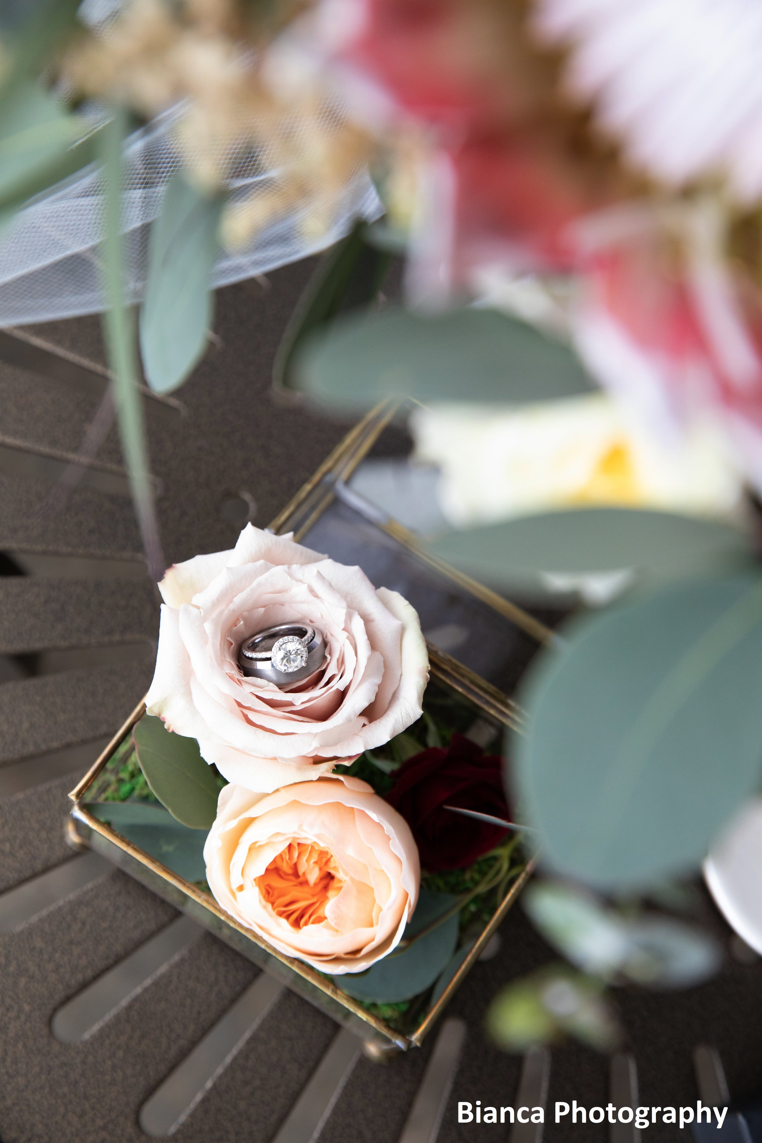 GALLERY: Bianca Photography — A Perfect Day Hawaii