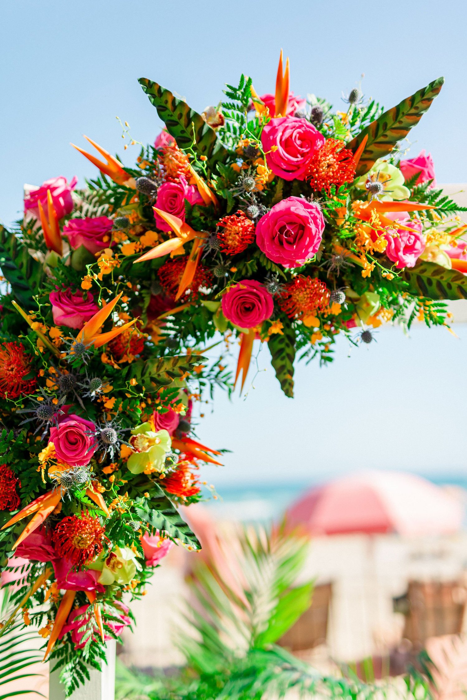 BLOG — A Perfect Day Hawaii