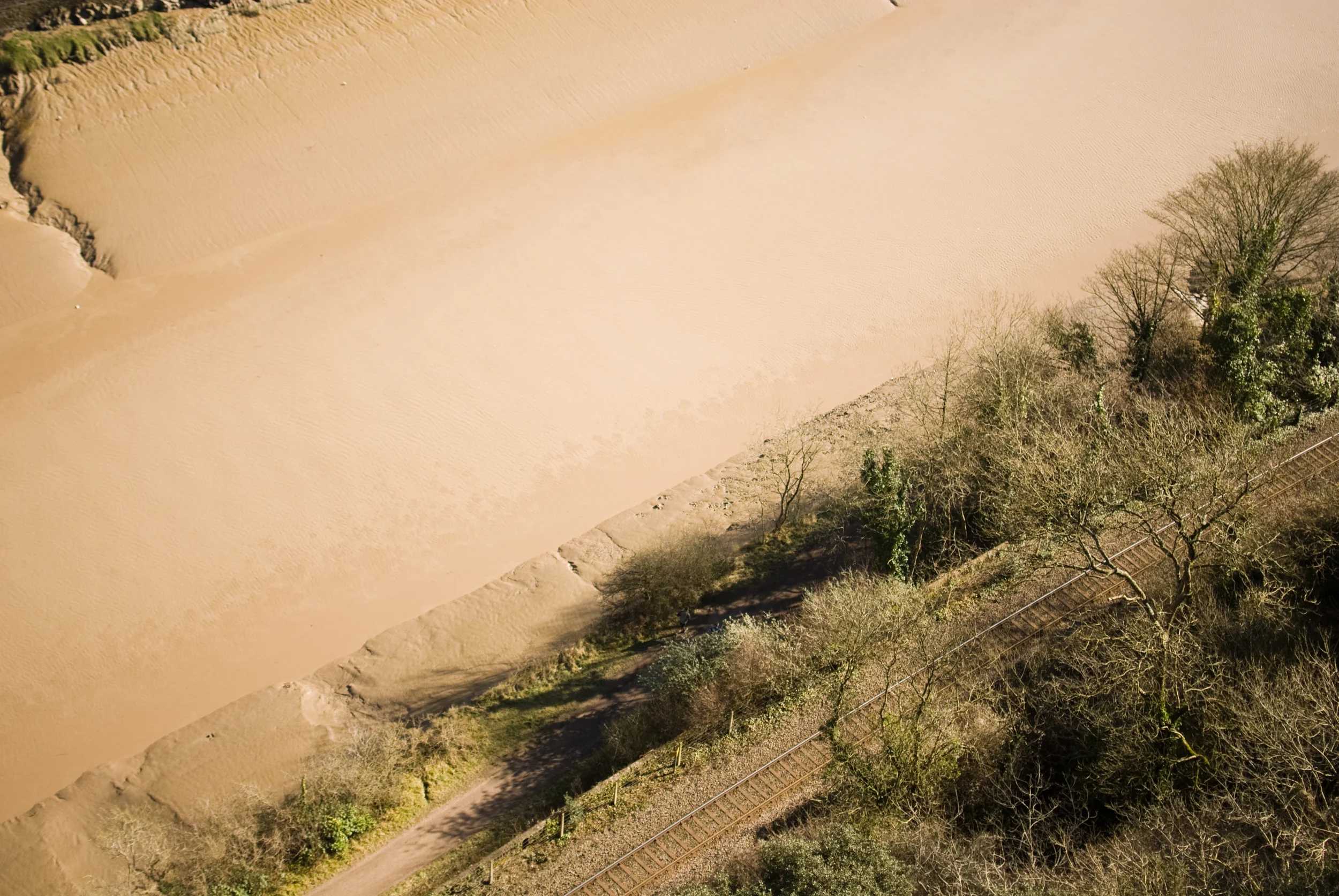 GEORGINA COOK IS HERE.