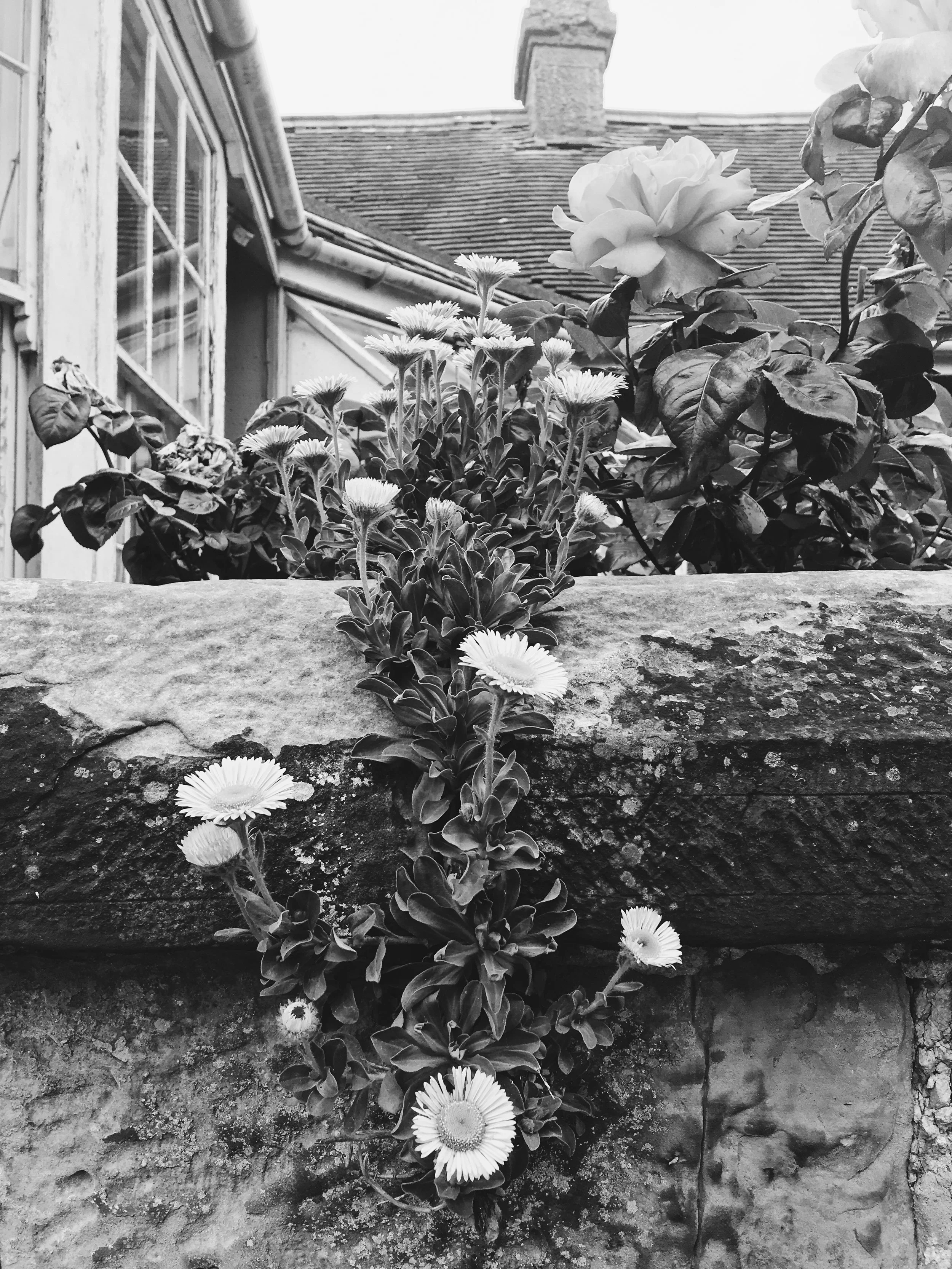 Photography - Between A Rock & A Hard Place (Survival). A dedication ...