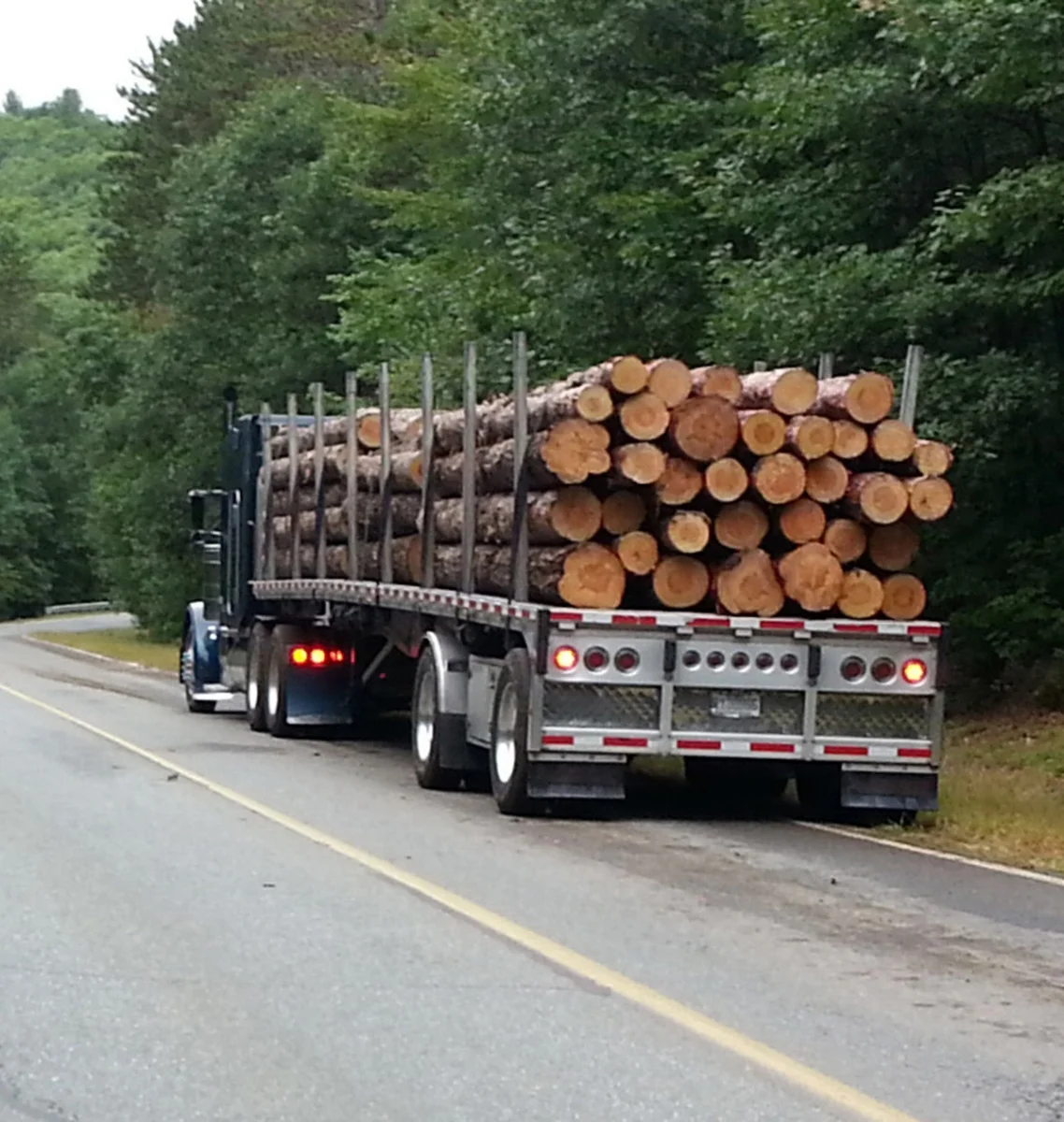 Save Wendell State Forest — RESTORE: The North Woods