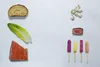 INGREDIENT — Ali Bouzari