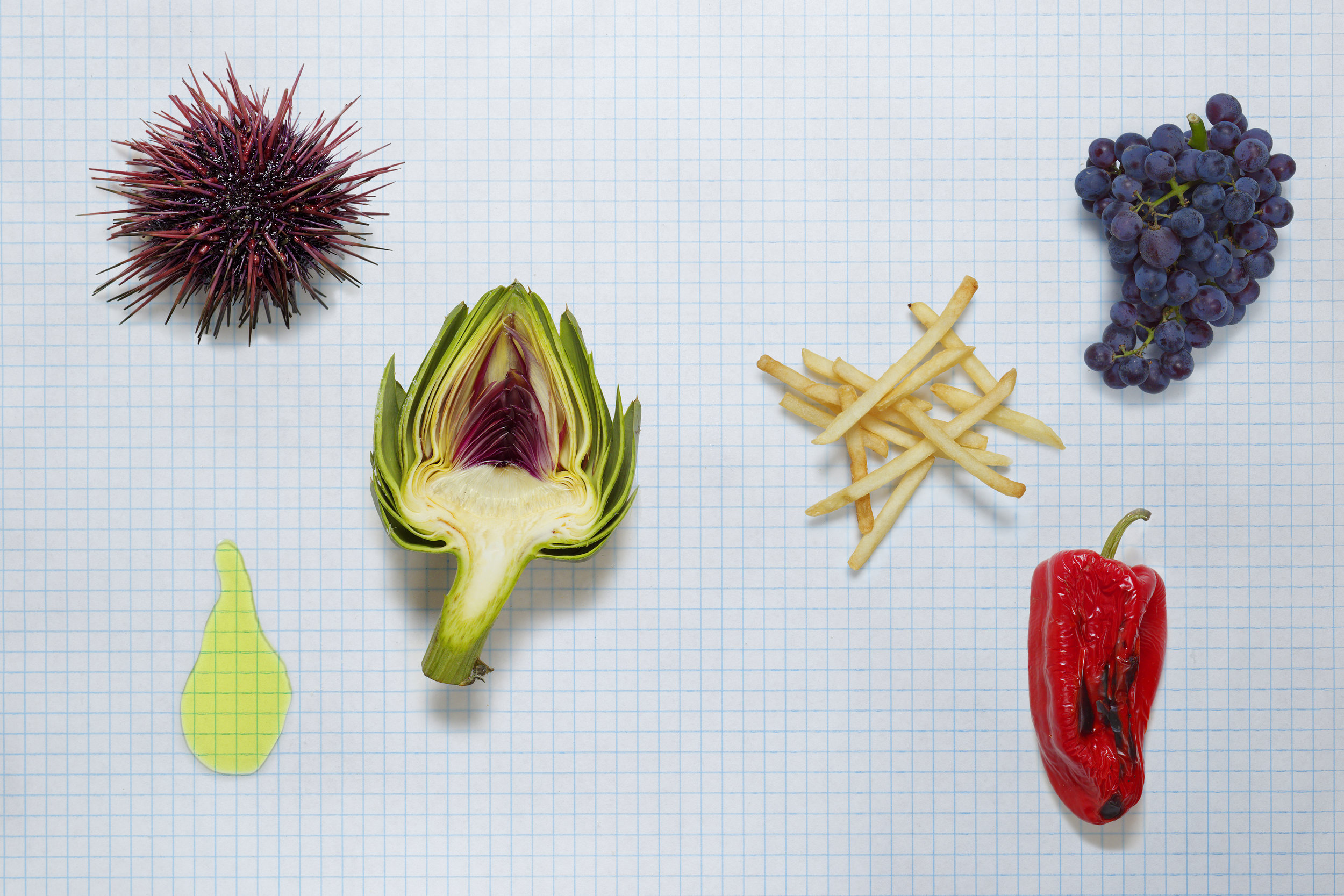 INGREDIENT — Ali Bouzari