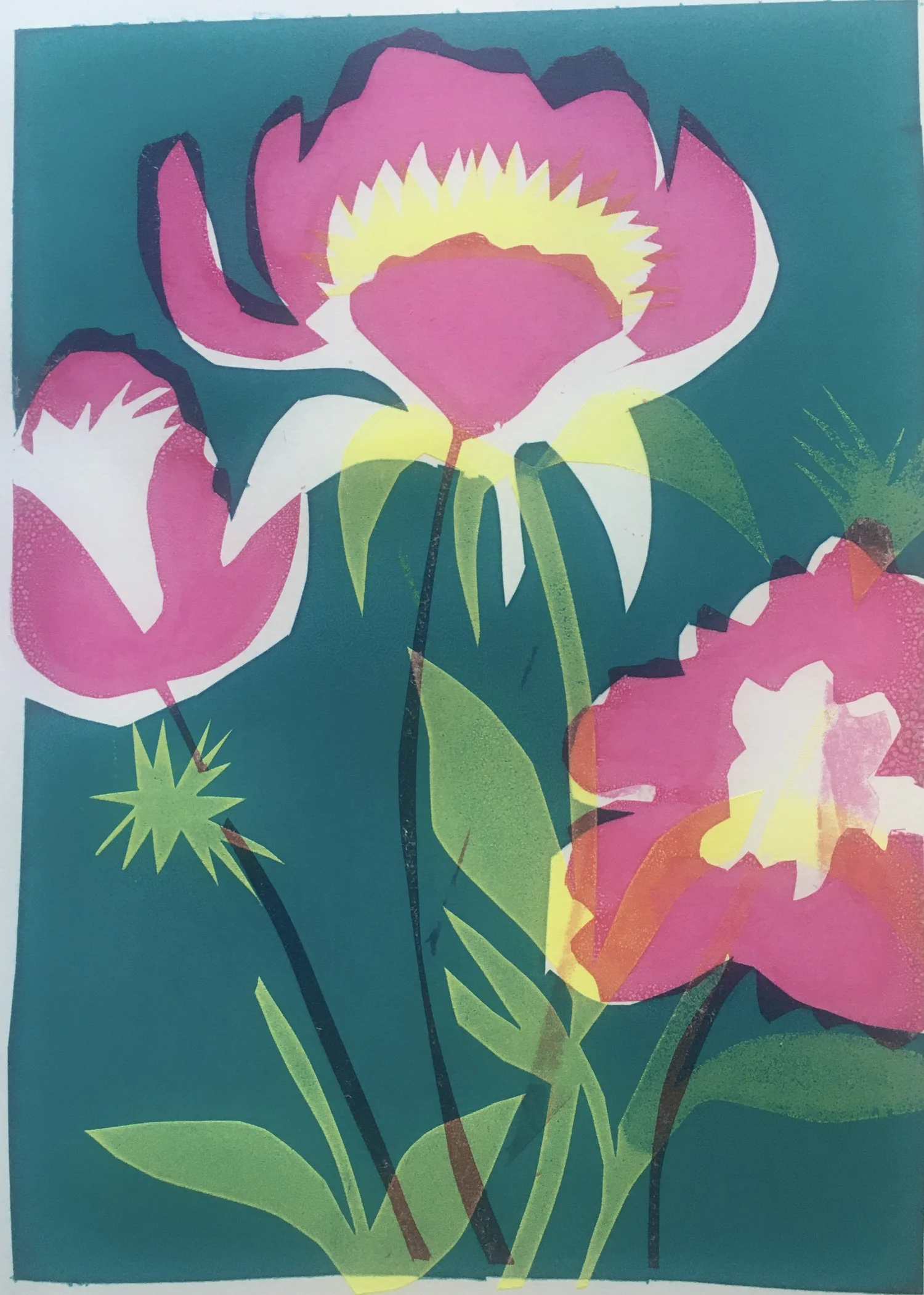 Blog — Rowena Ardern