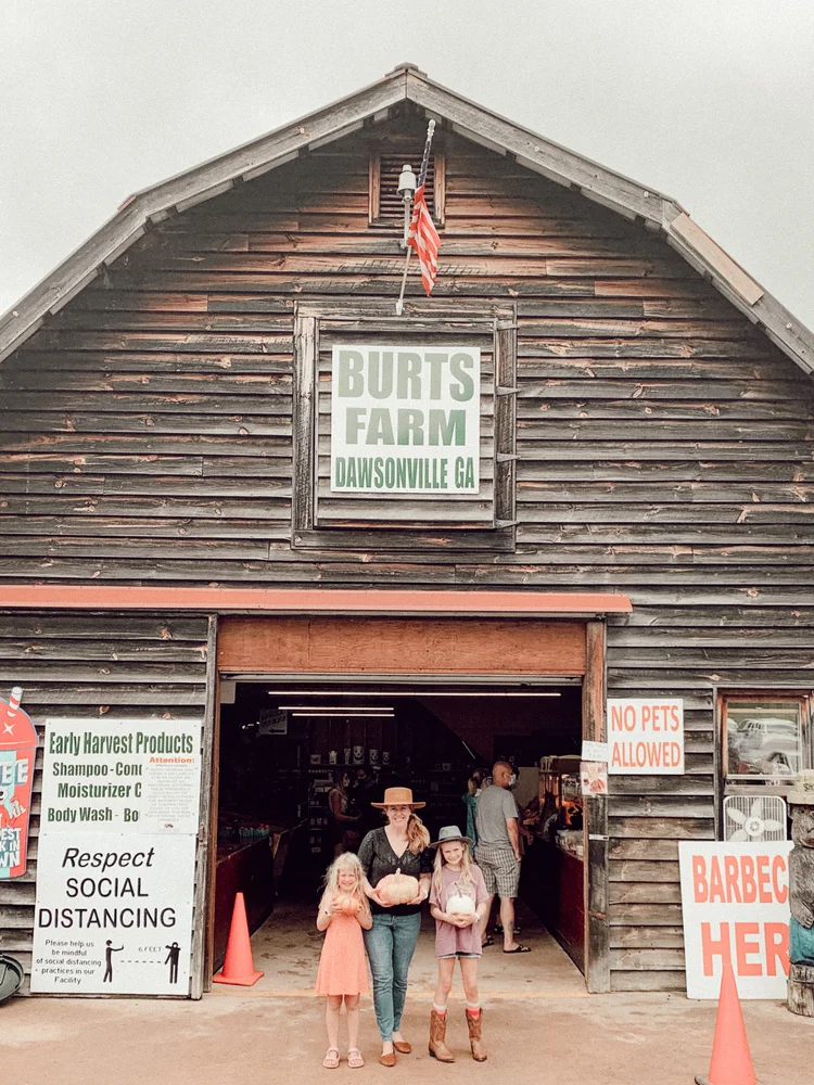 Burt's Pumpkin Farm — Lesley W Graham