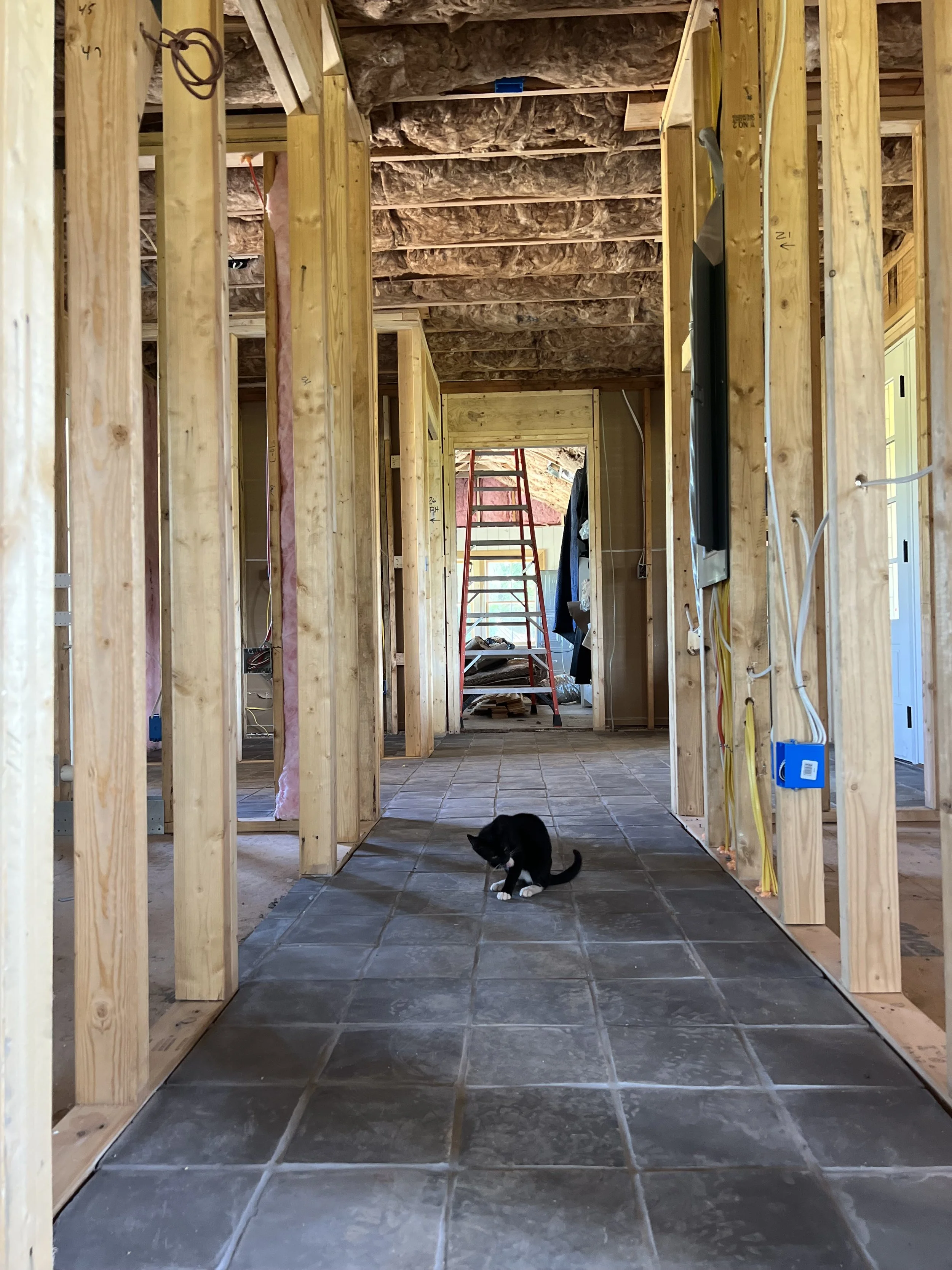 Our Addition — Lesley W Graham