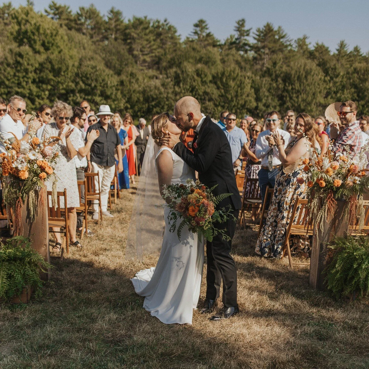 Wanderwood - Connect