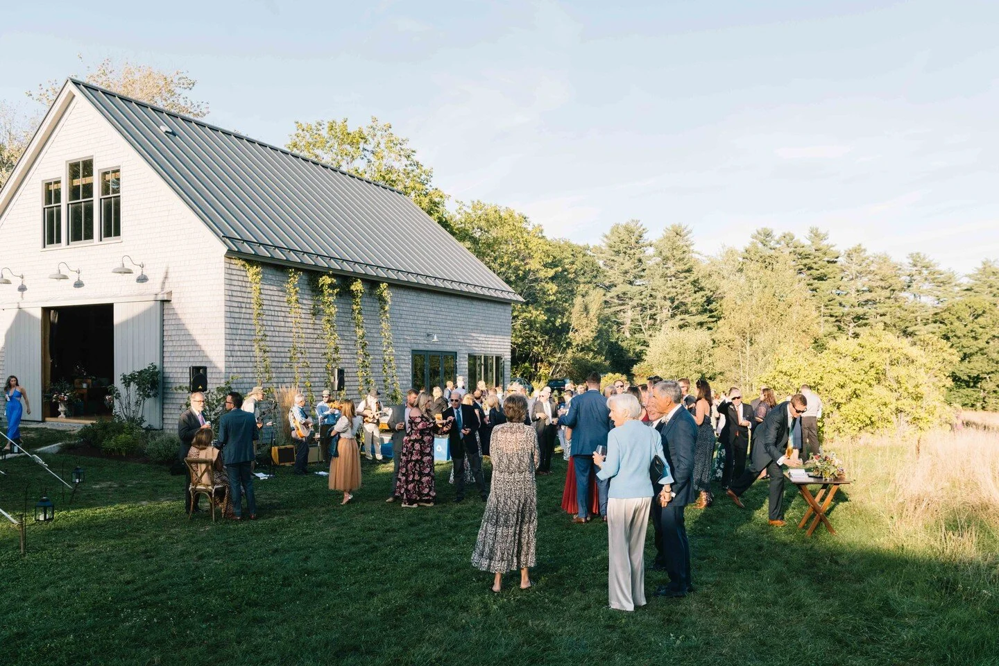 Wanderwood - Connect