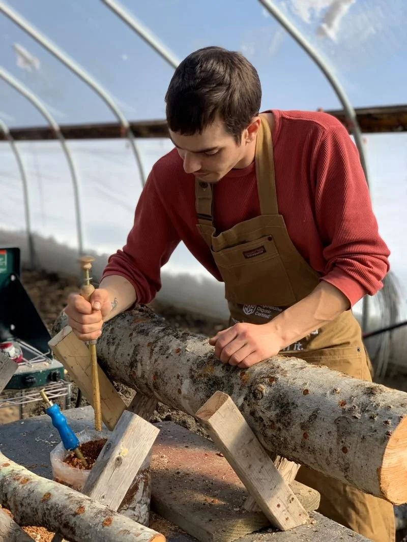 Shiitake log inoculation with Tiny Acres Farm — Wanderwood