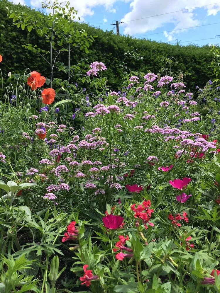 Flowers — The Bunker Farm