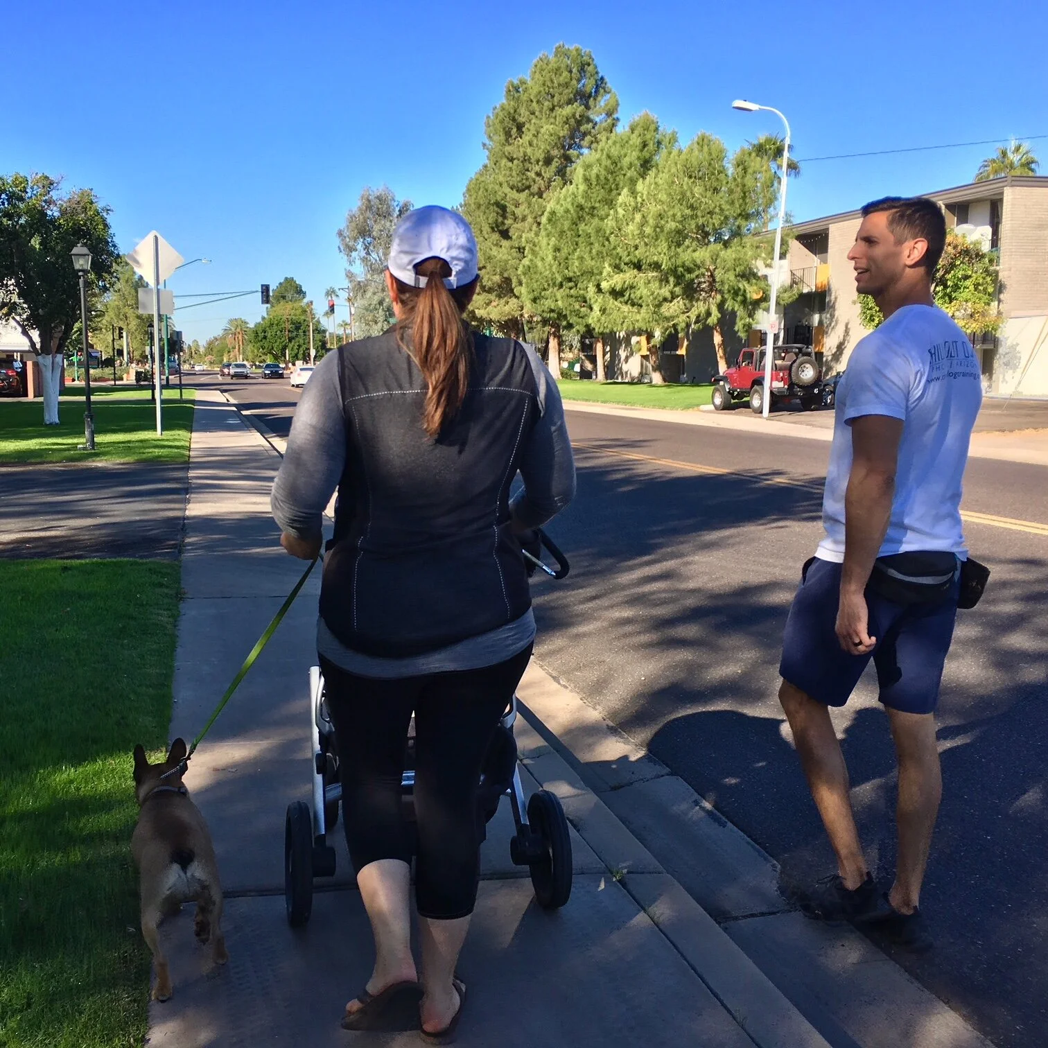 Chill Out Dog Training | 5-Star Trainer | Denver, CO | RiNo, Highland, & City Park,