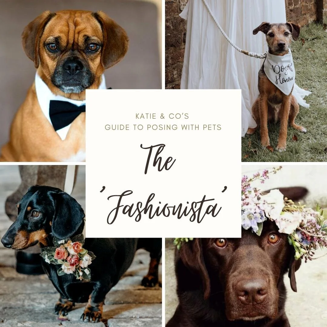 Photography Guide to Posing with Pets — Katie & Co