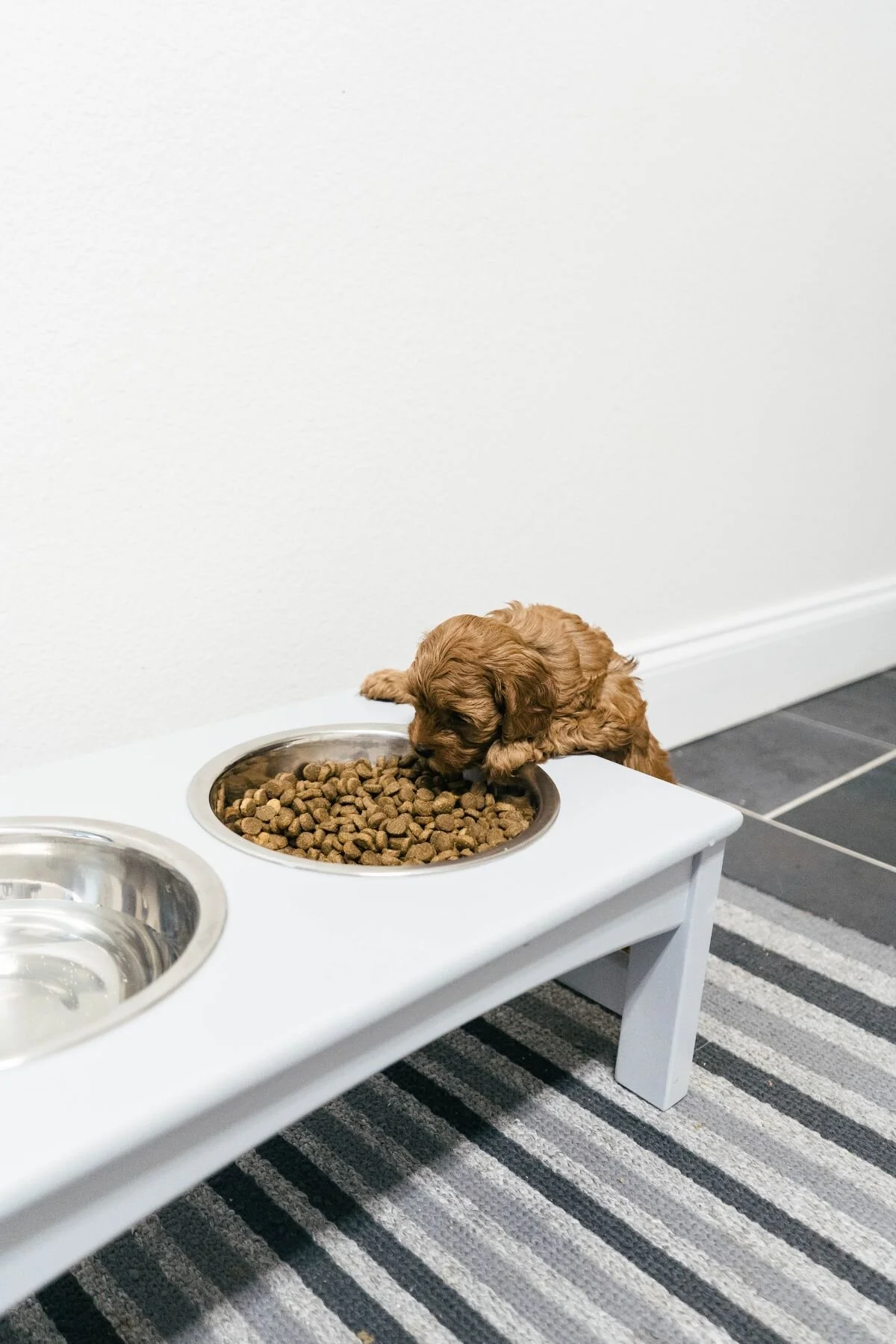 Dog Room AKA Mudroom Reveal — Farmhouse Living