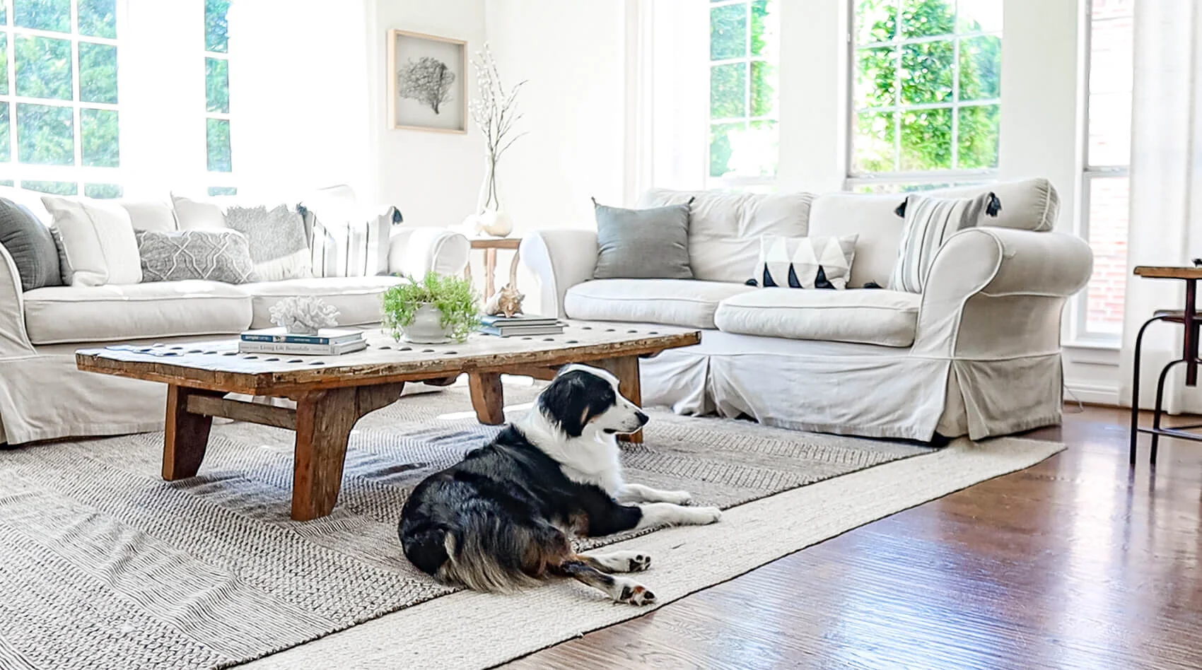 Dogs & Decor Home Tour with Ollie — Farmhouse Living