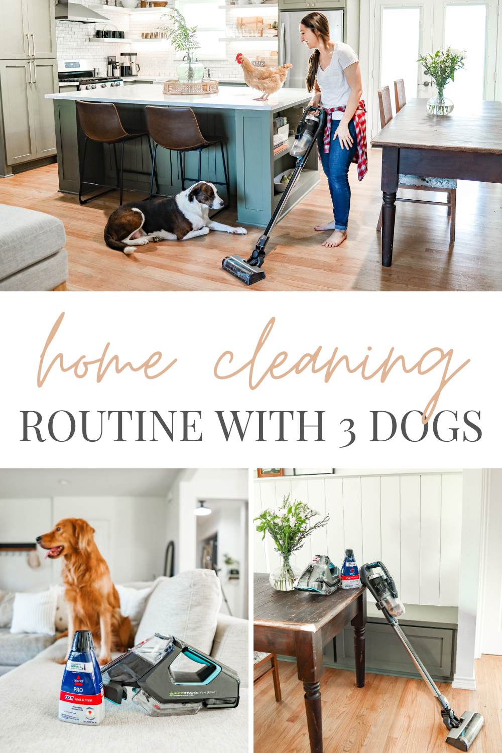 How Do Dog People Keep Their Houses Clean