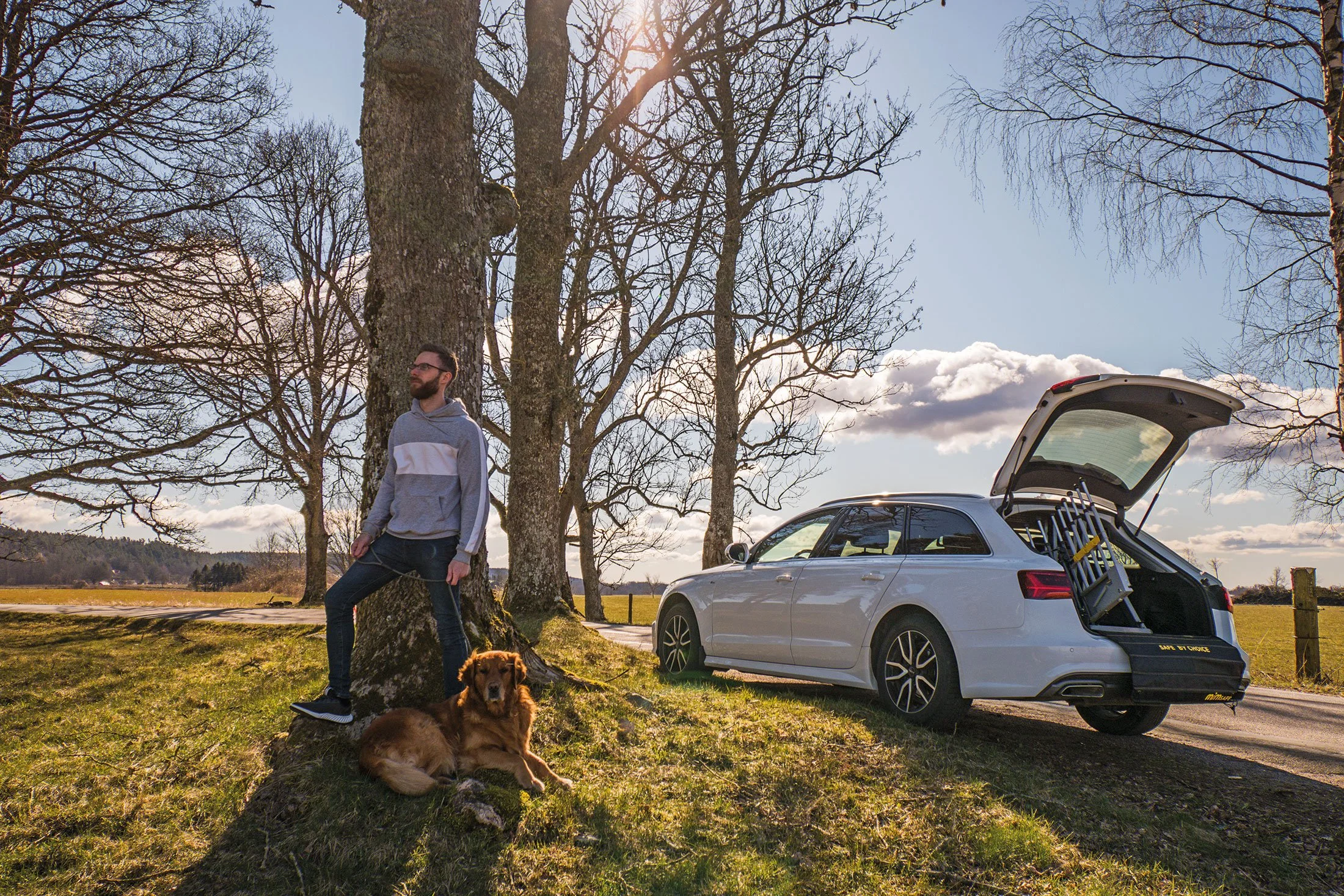 The Industrious Hound - Vario Gate, Divider & Barrier HR