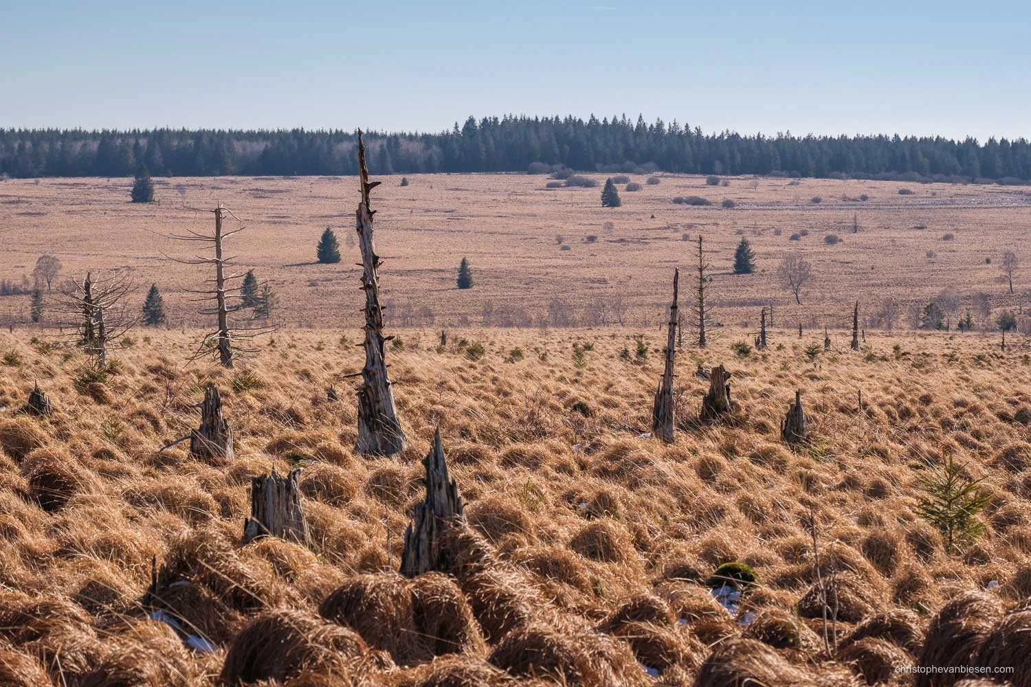 Exploring Belgium's High Fens | Christophe Van Biesen