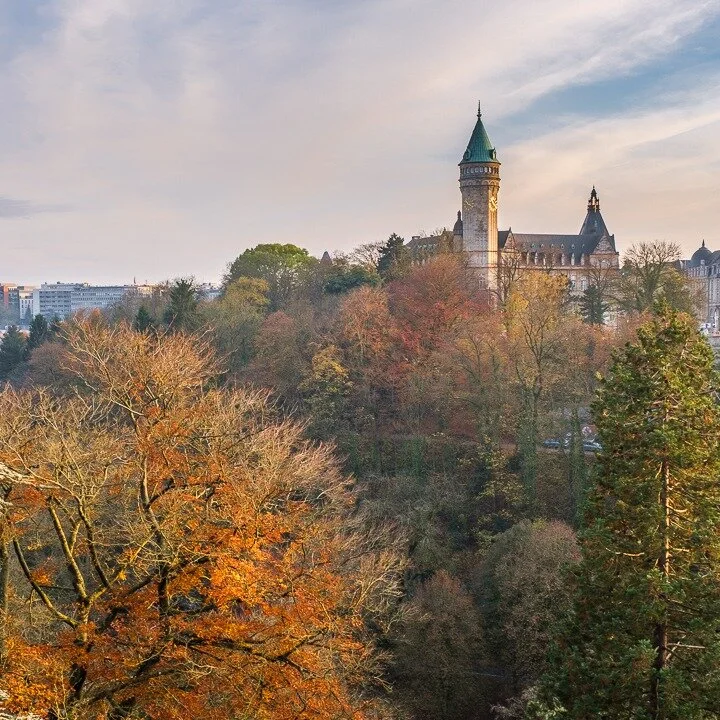 Professional Photographer Luxembourg | Christophe Van Biesen