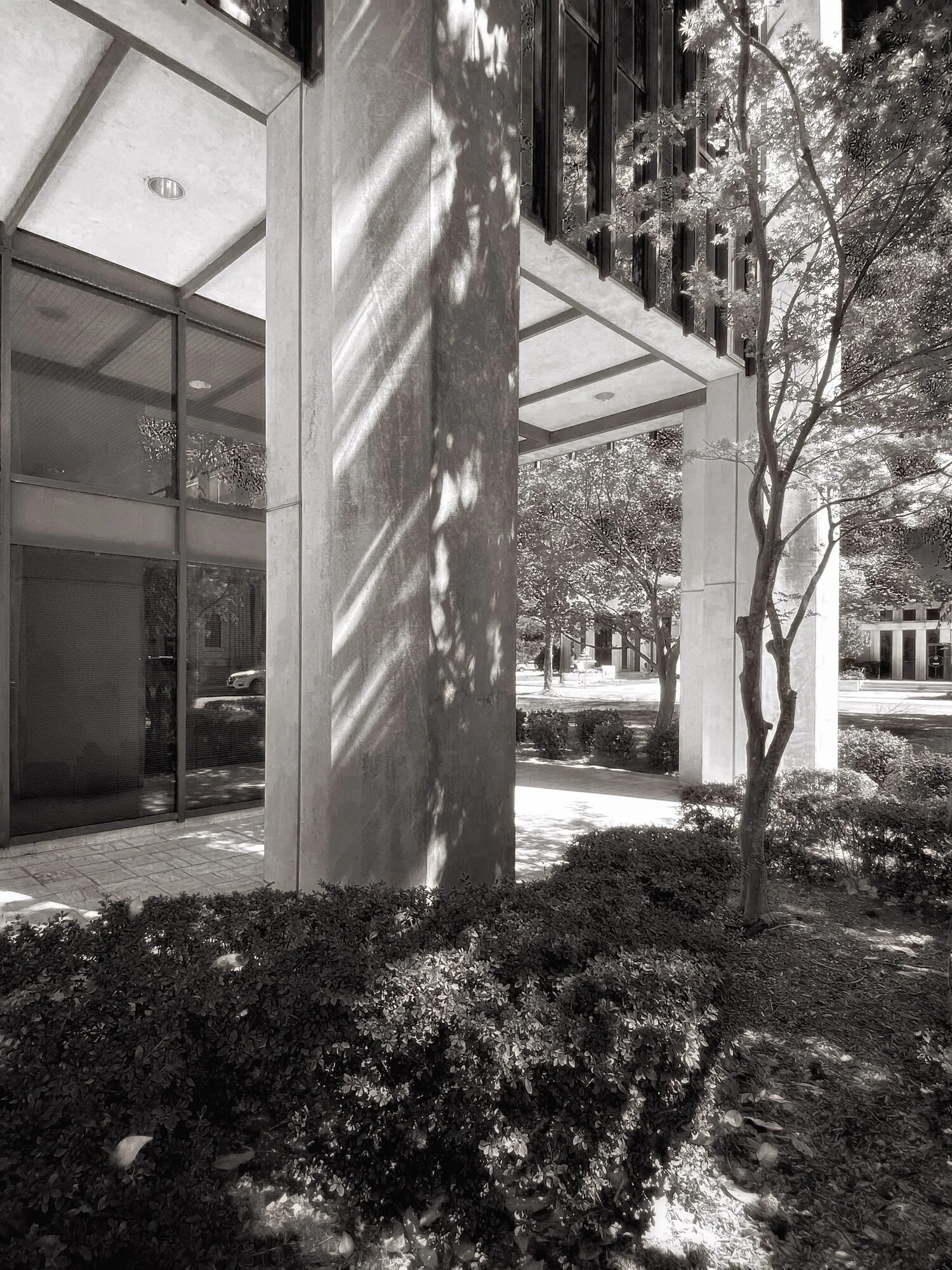 LEGACY — Skinner Farlow Kirwan Architecture