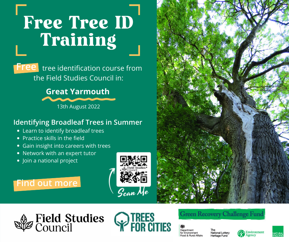 Free training on identifying trees this Summer — Great Yarmouth Sport ...