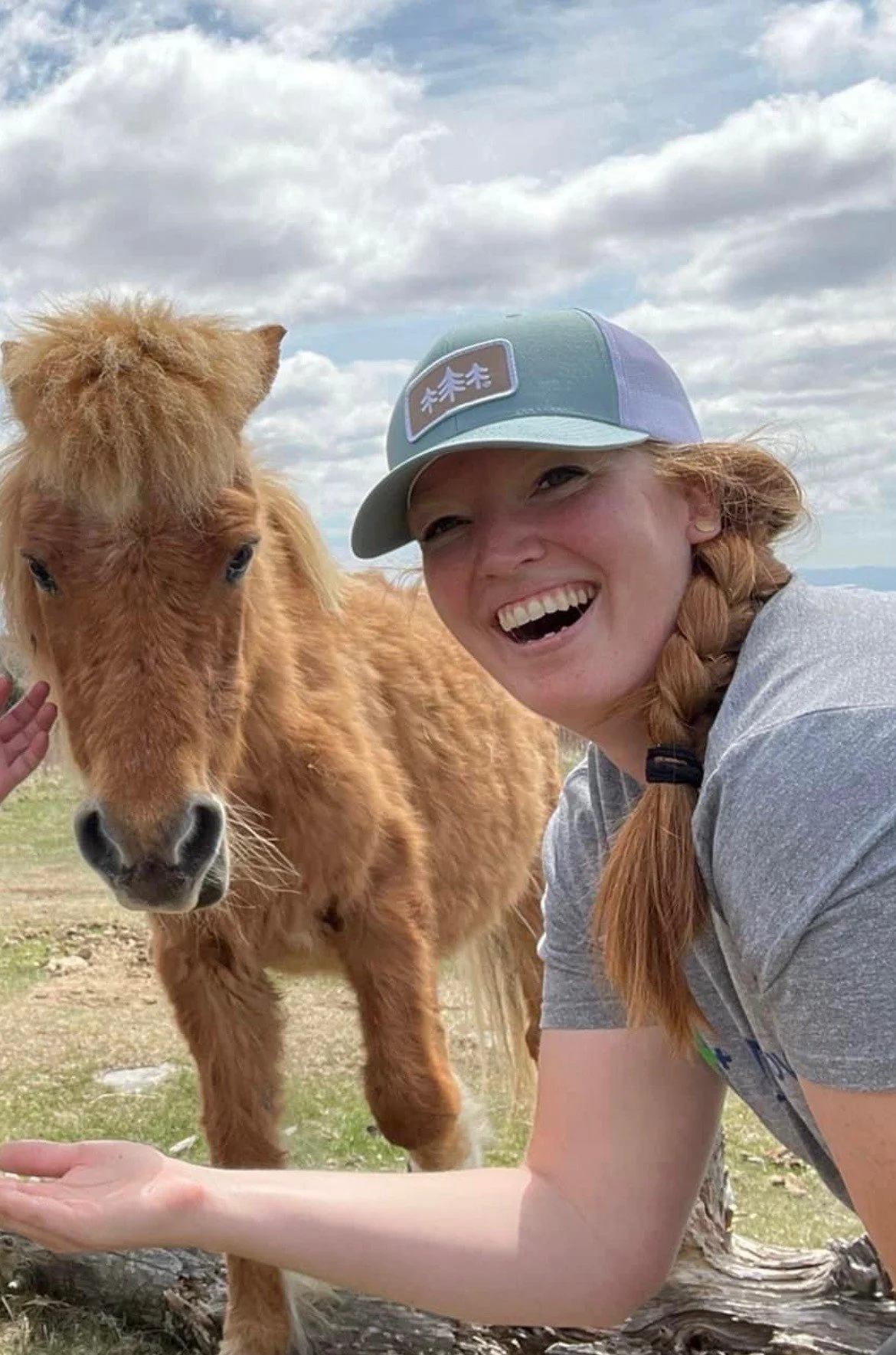 Who we are — Hope's Legacy Equine Rescue