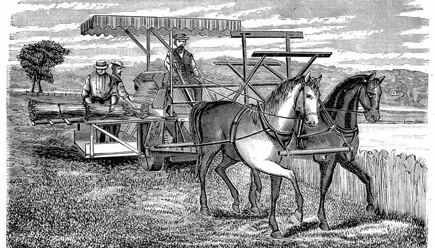 Rye History — Rye Historical Society