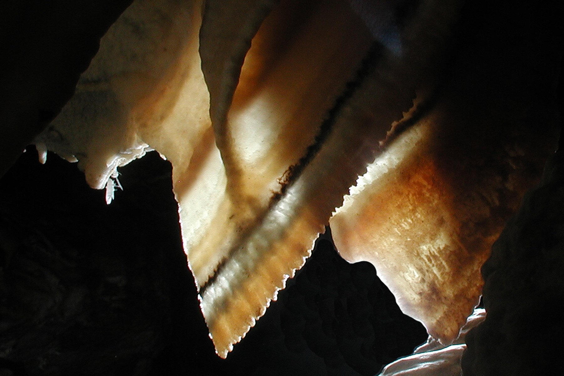 Gold Country Adventures/California Cavern & Black Chasm Cavern ...