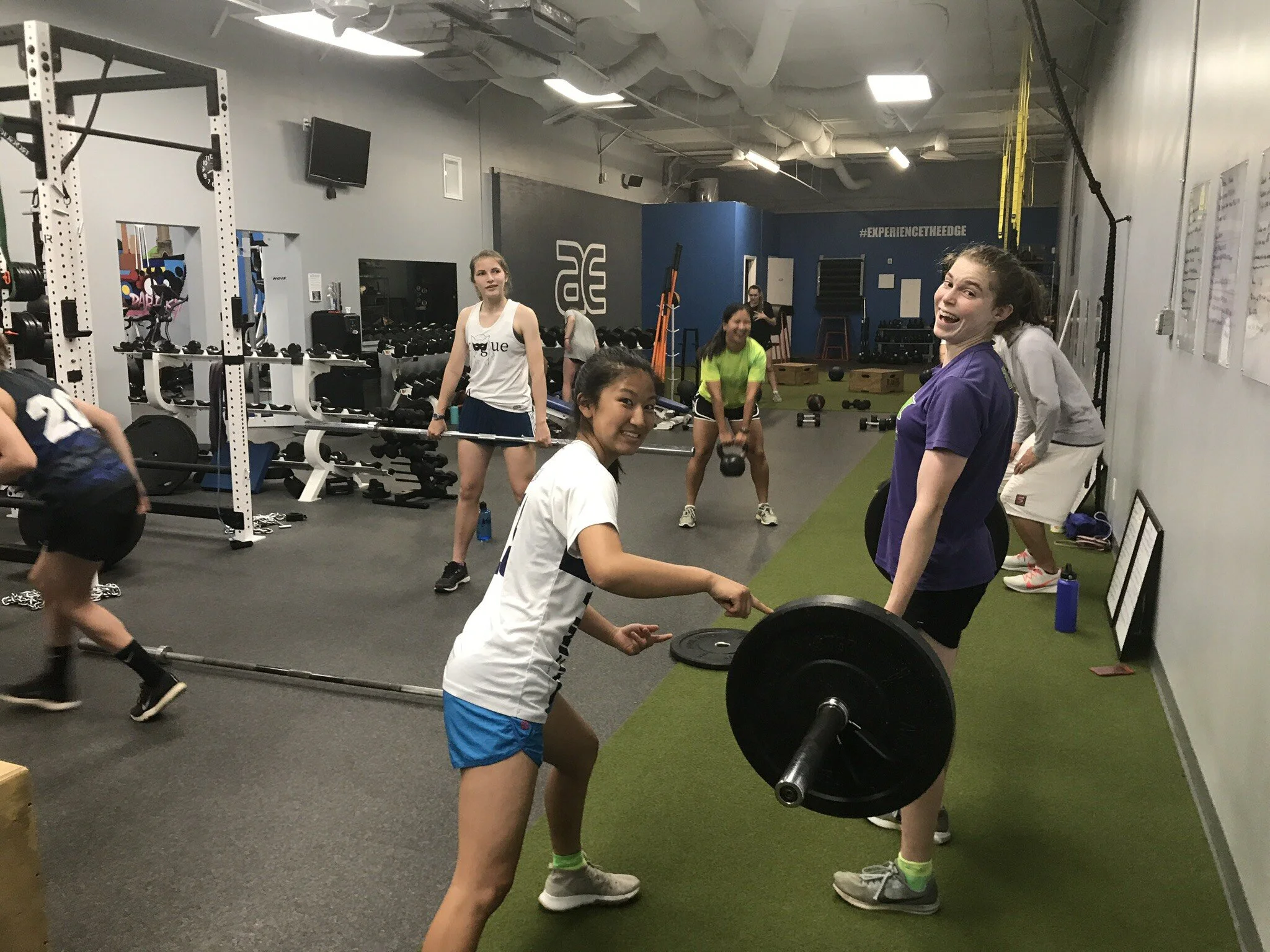 Team Plans — WellLife Ultimate Performance