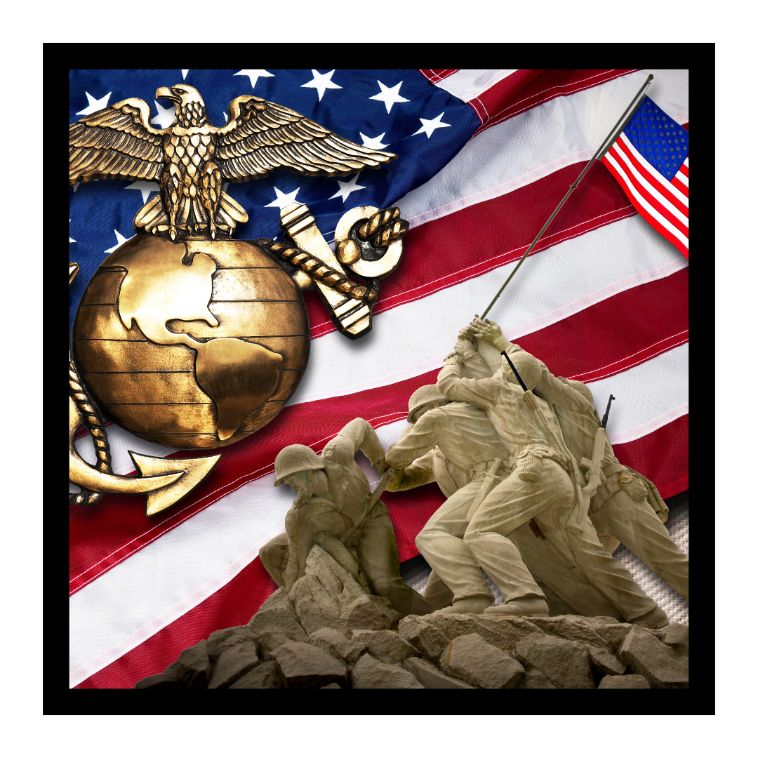 About — GUARDIAN INTERNATIONAL SOLUTIONS INC.