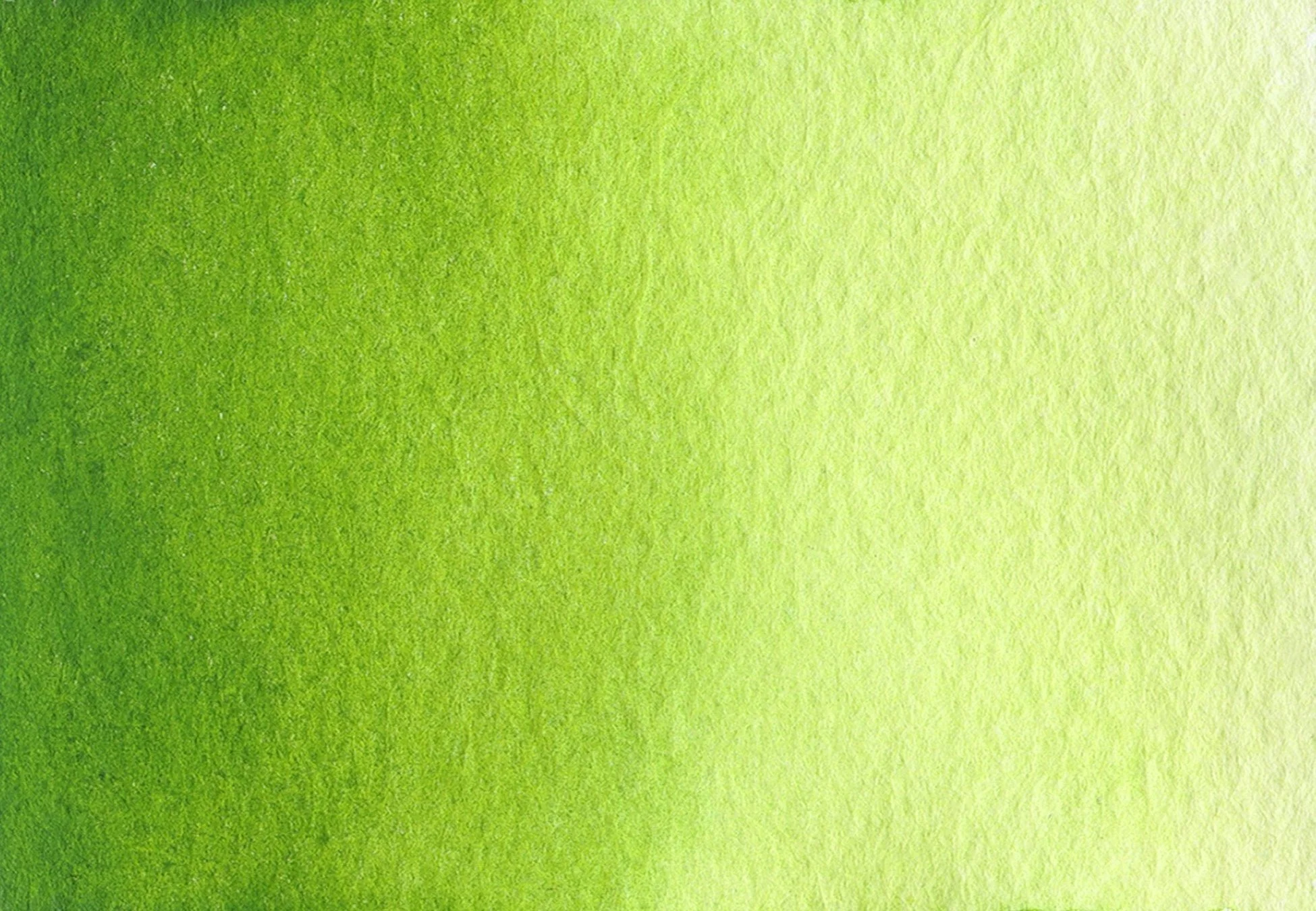 Sap Green PG36, PY83, PV19, PR101 A.Gallo Colors — A. Gallo Colors ...