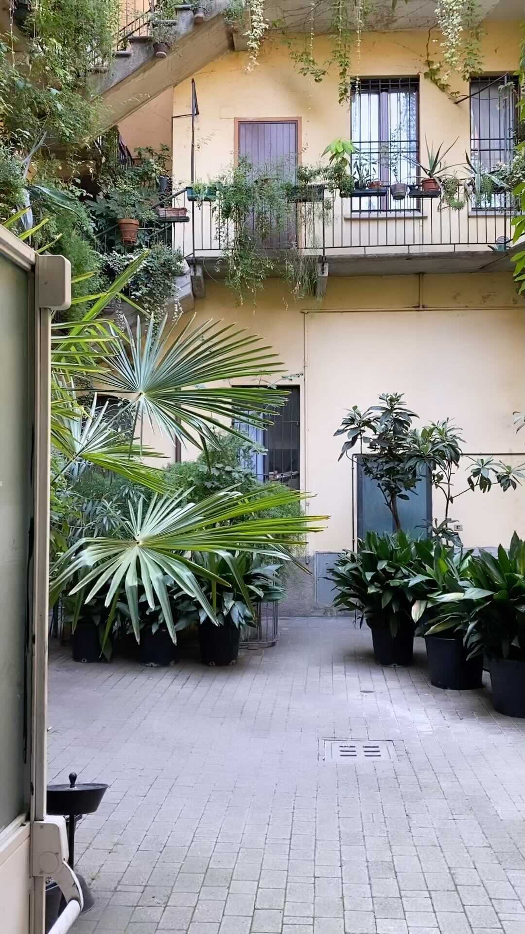 Case Studies — Moure / Studio