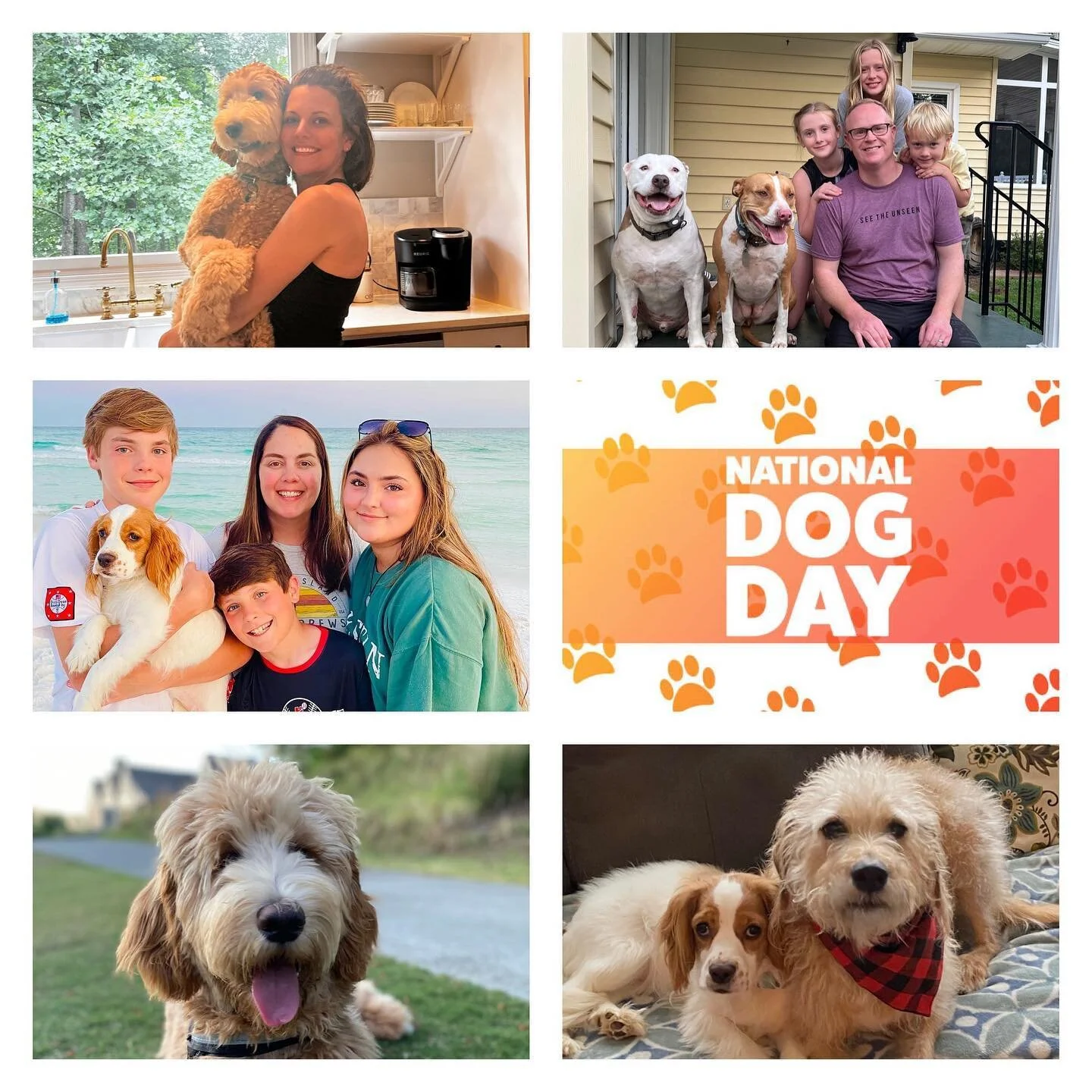 Reid Casey Real Estate | Serving Milton, Alpharetta, and Roswell, GA